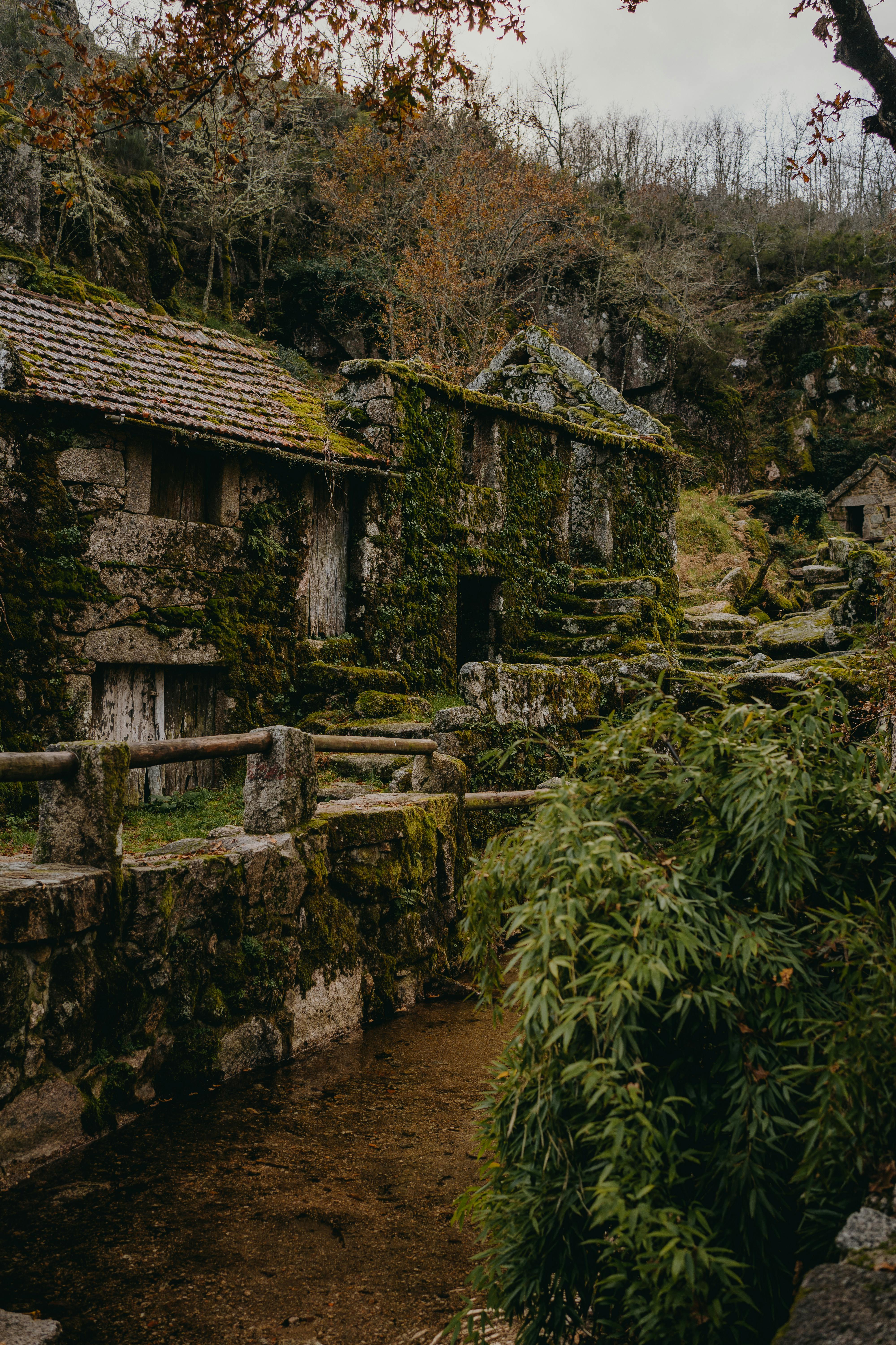 Abandoned Village Covered with Moss · Free Stock Photo