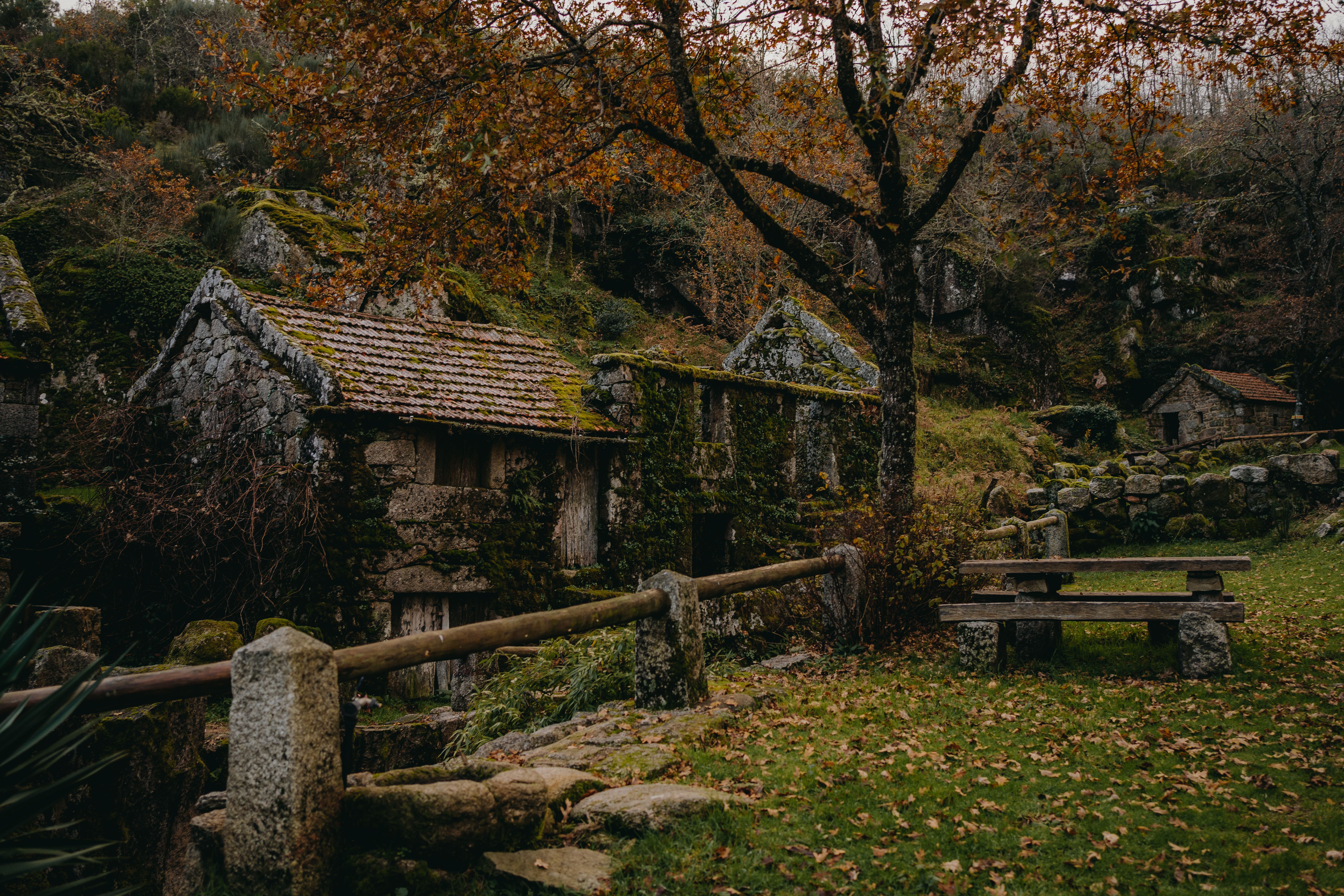 Mossy Grass Buildings Photos, Download The BEST Free Mossy Grass ...