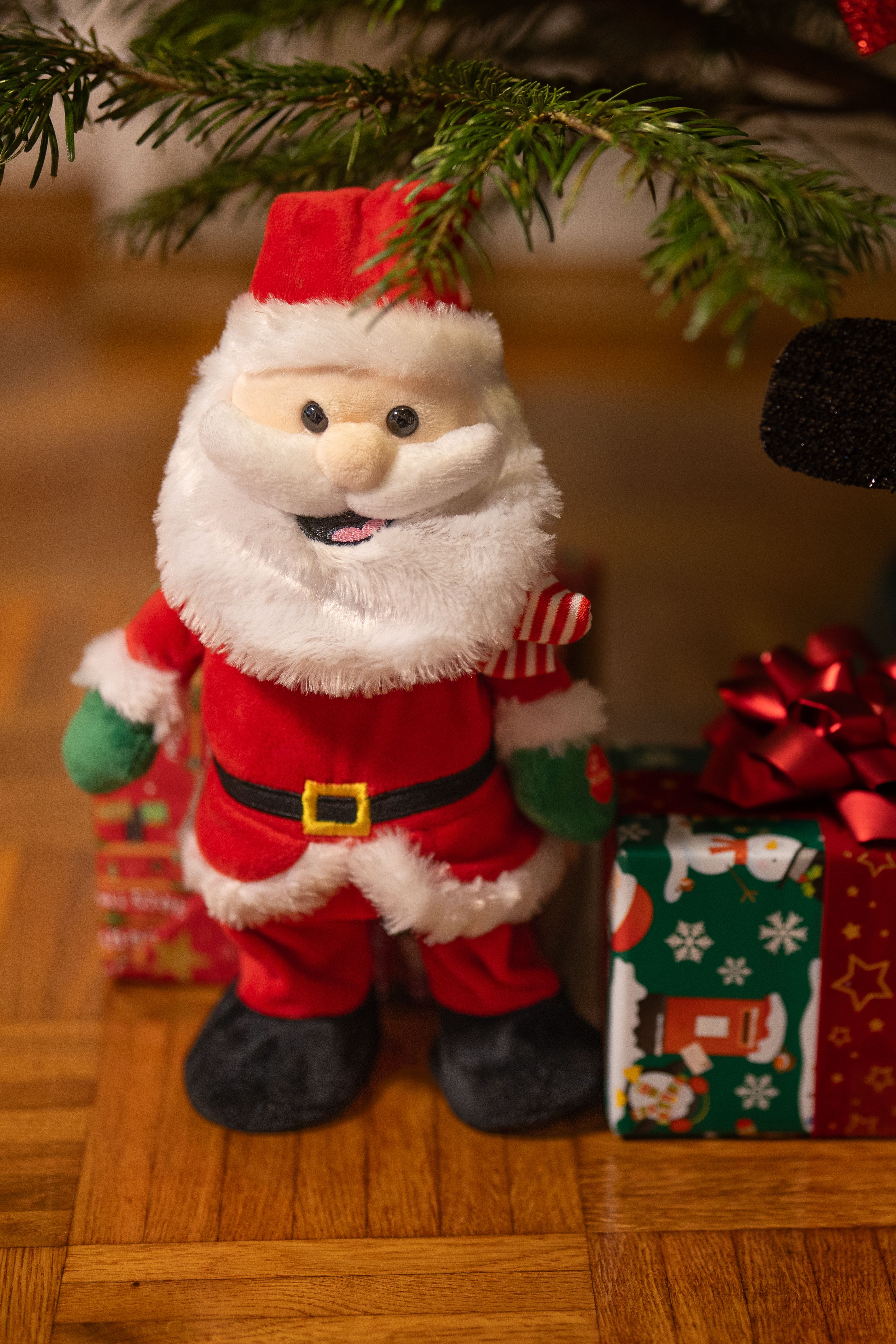 Christmas Stuffing Photos, Download The BEST Free Christmas Stuffing ...