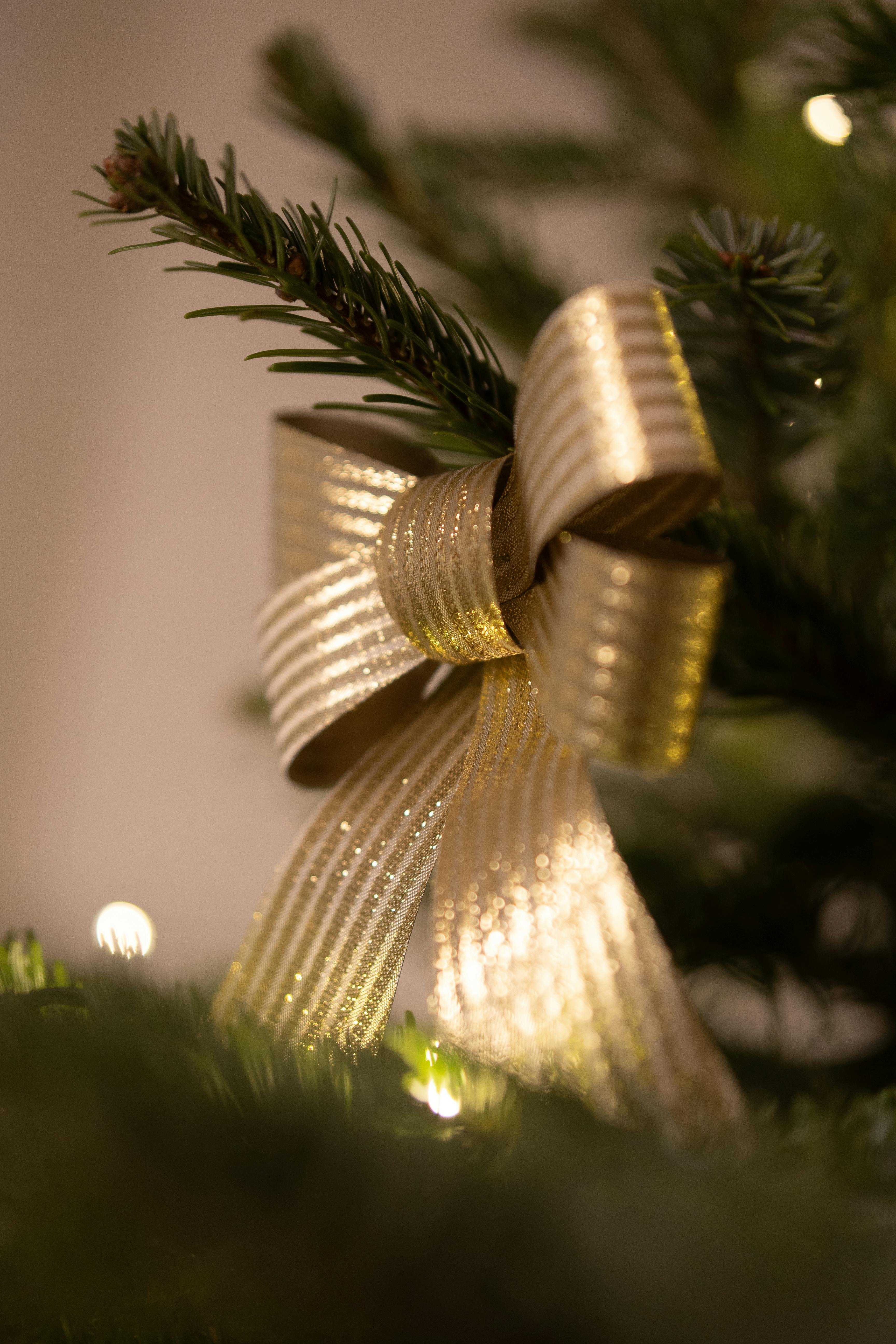 A Golden Ribbon on a Christmas Tree · Free Stock Photo