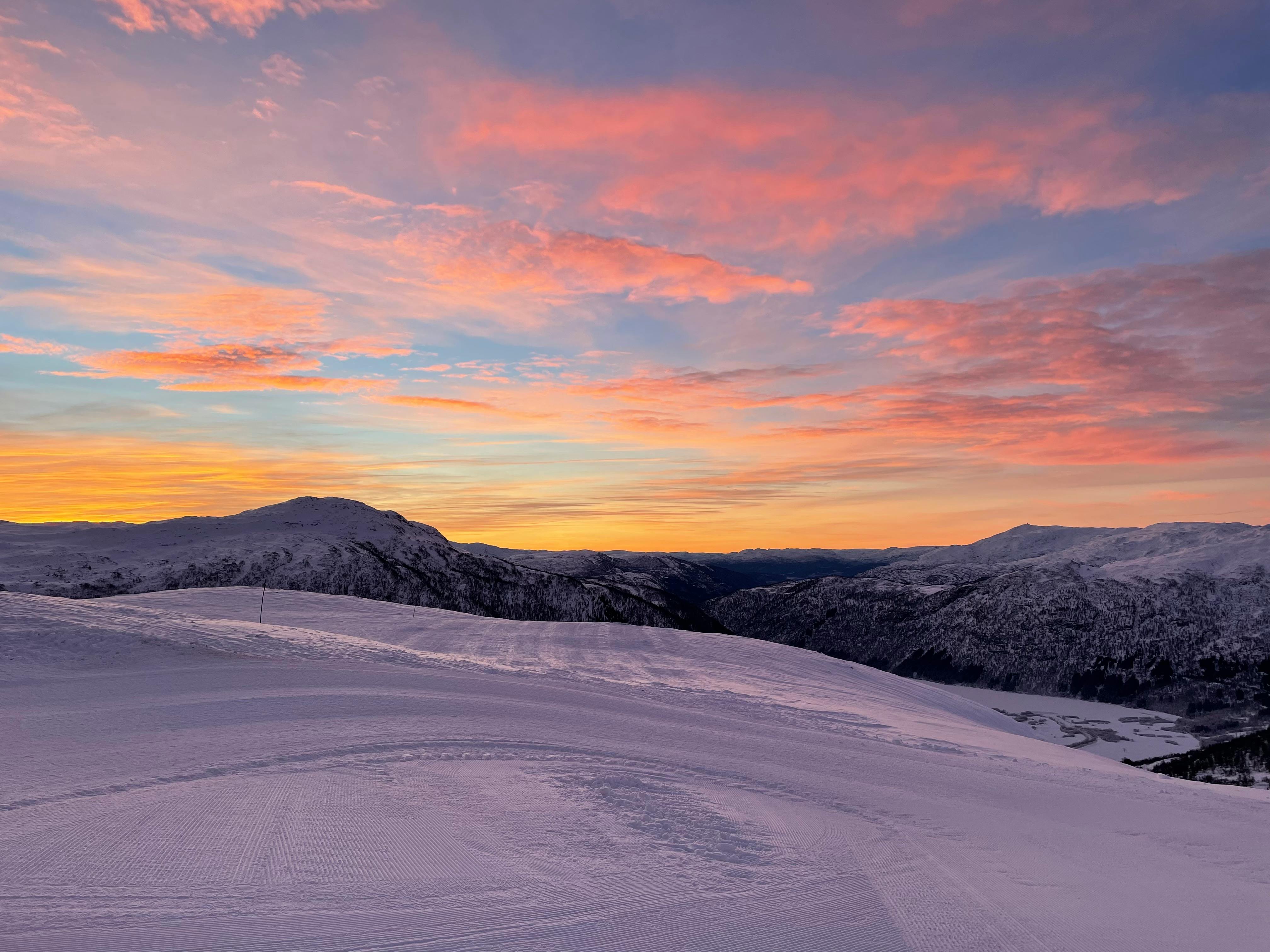 Rollie Pollie Photos, Download The BEST Free Rollie Pollie Stock Photos ...