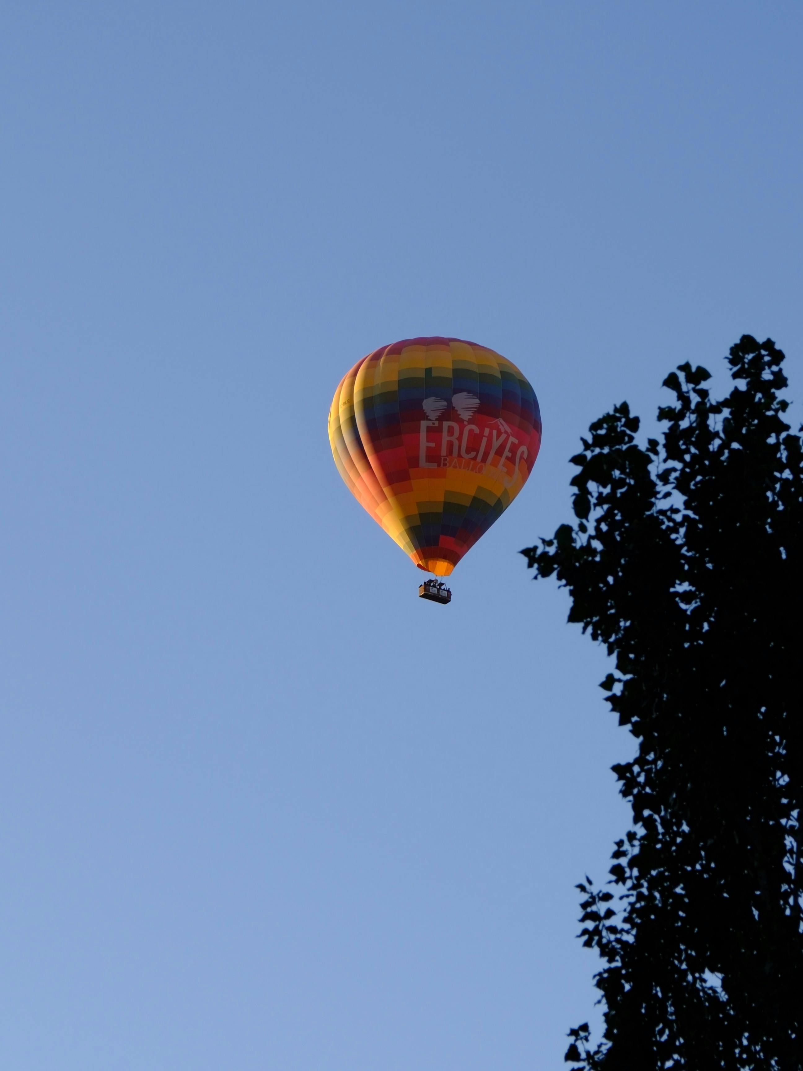 Colored Hot Air Balloon Floating over Tree · Free Stock Photo