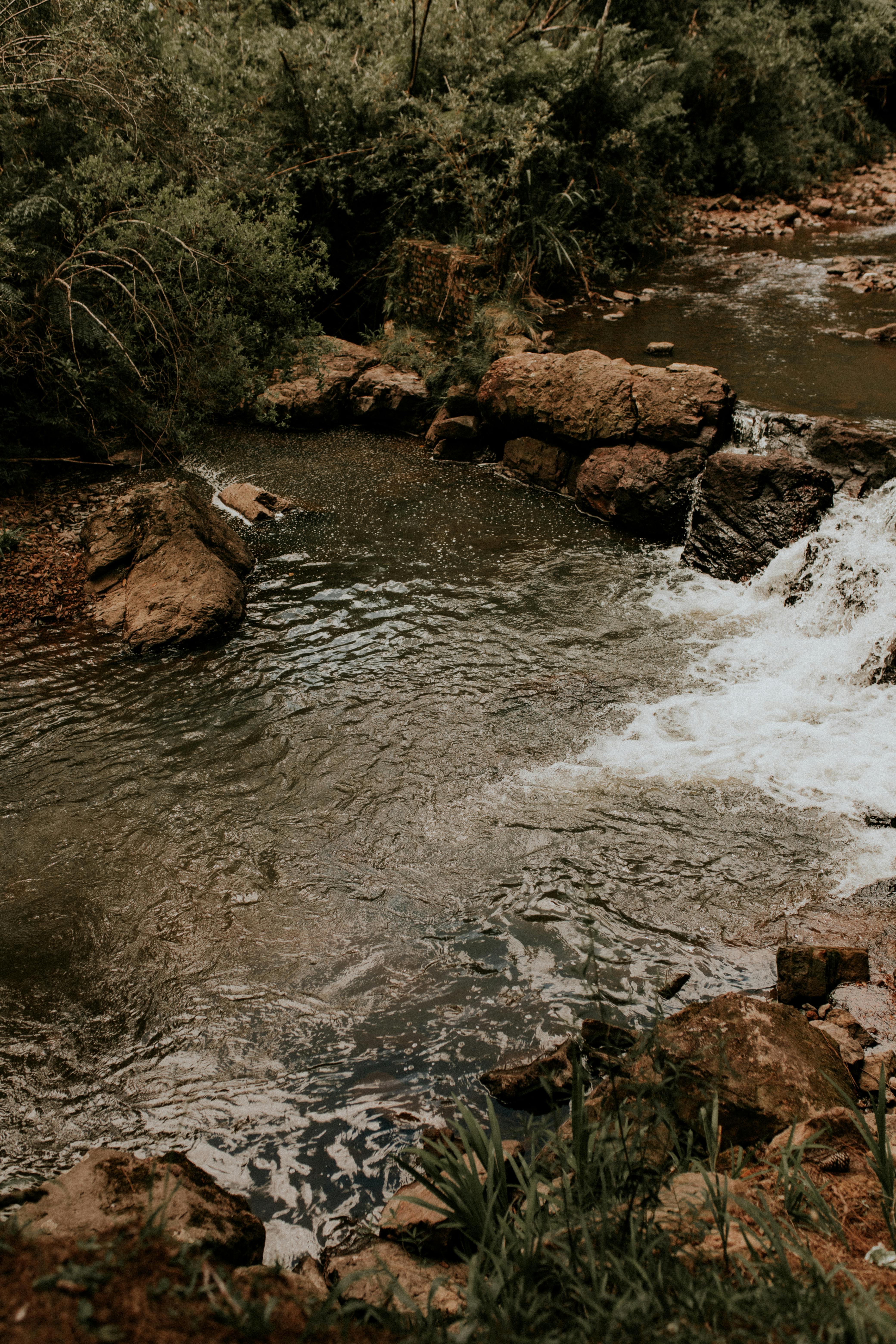 Kostenloses Foto zum Thema: außerorts, bach, braune felsen, draußen ...