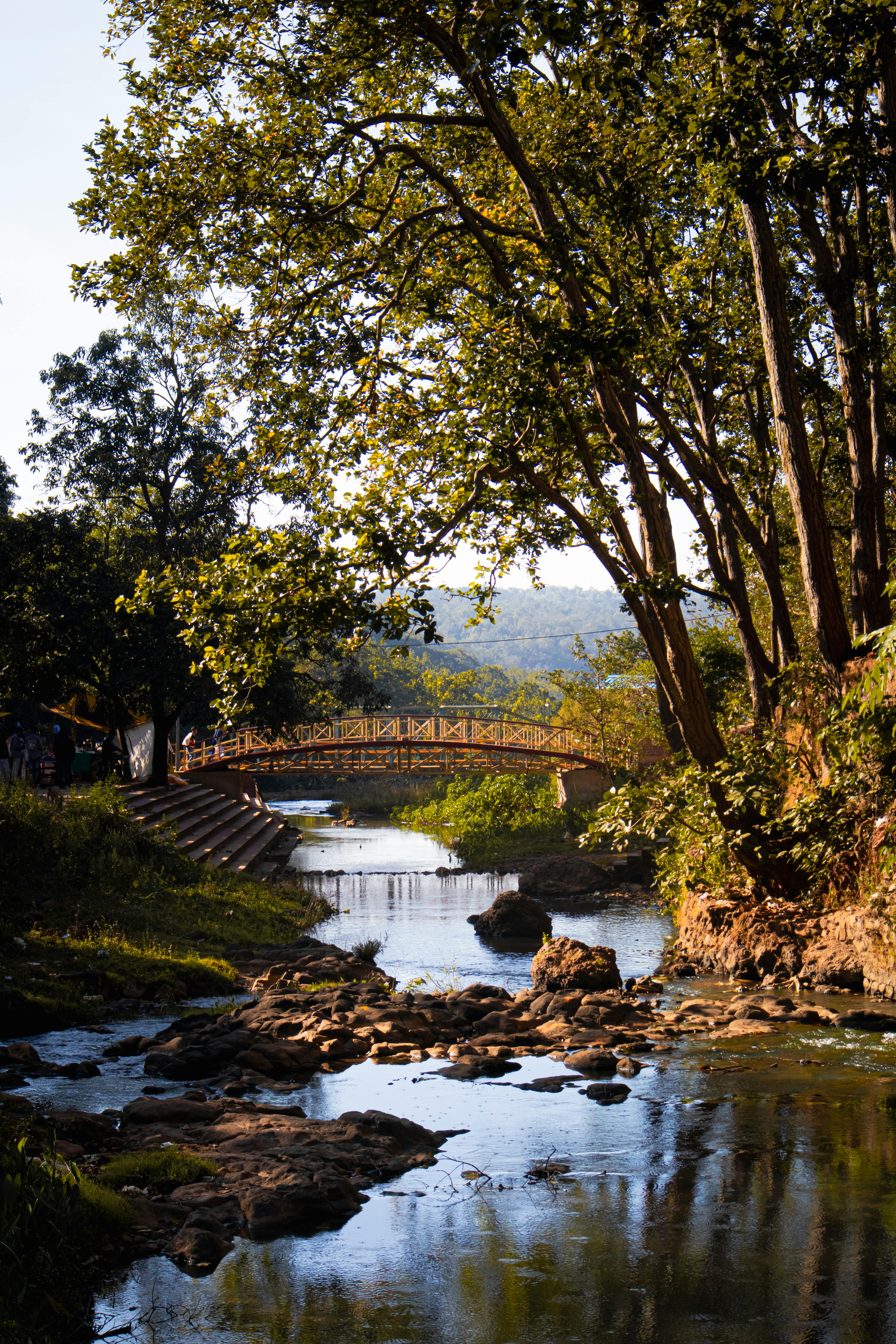 Soothing View with Stream and Wooden Bridge · Free Stock Photo