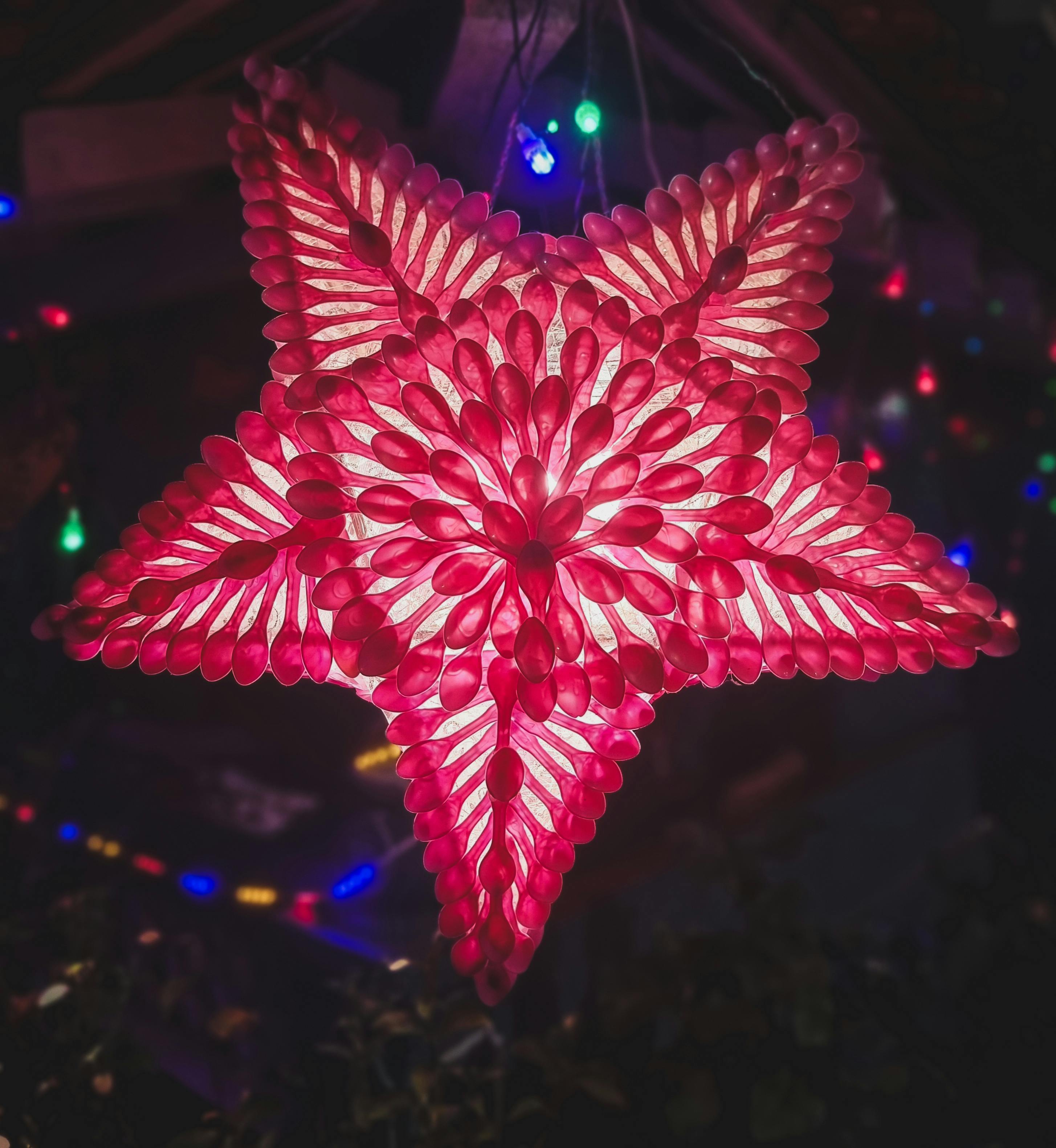 David Rodrigues - 사진