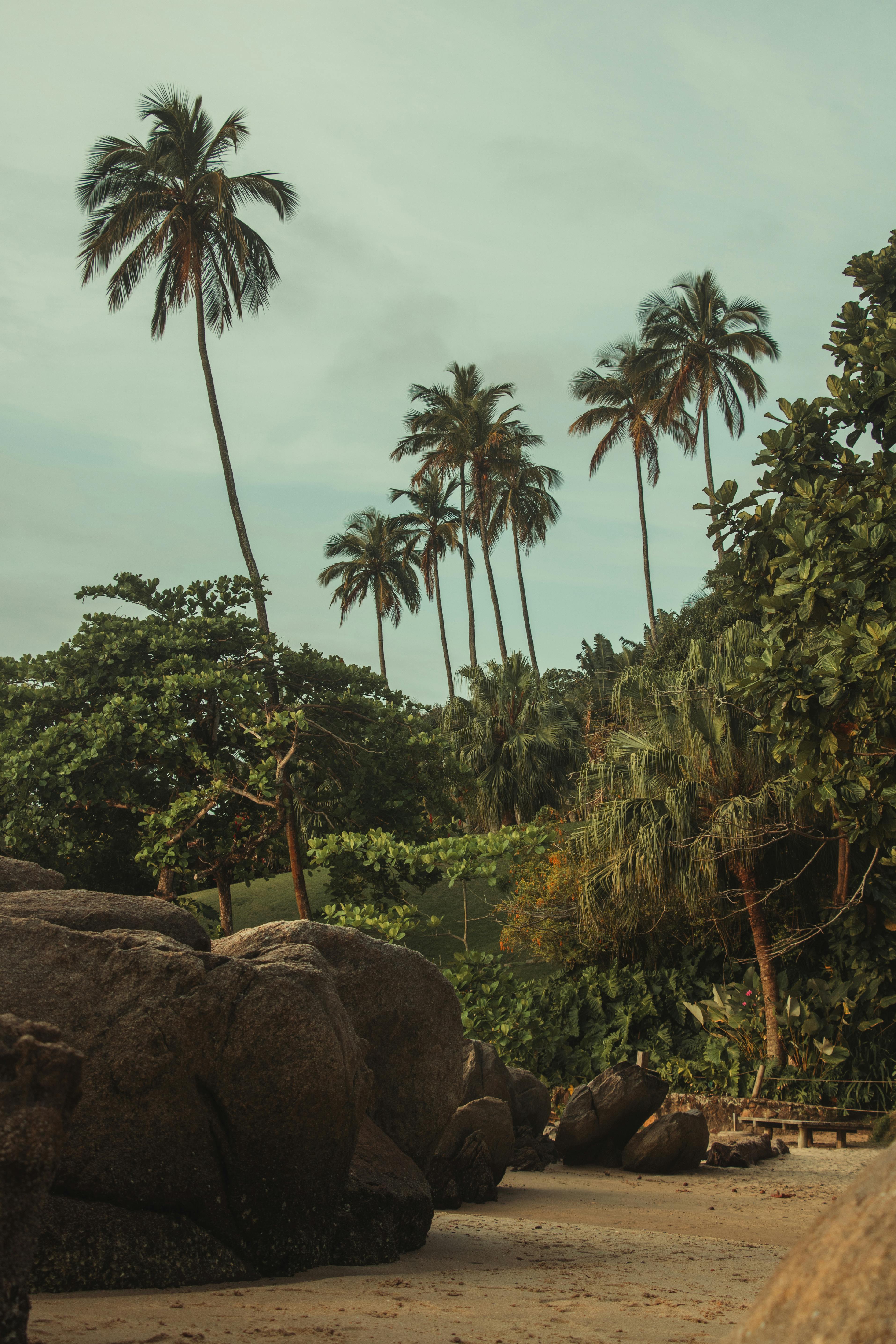 Exotic Island with Sandy Beach and Pier · Free Stock Photo
