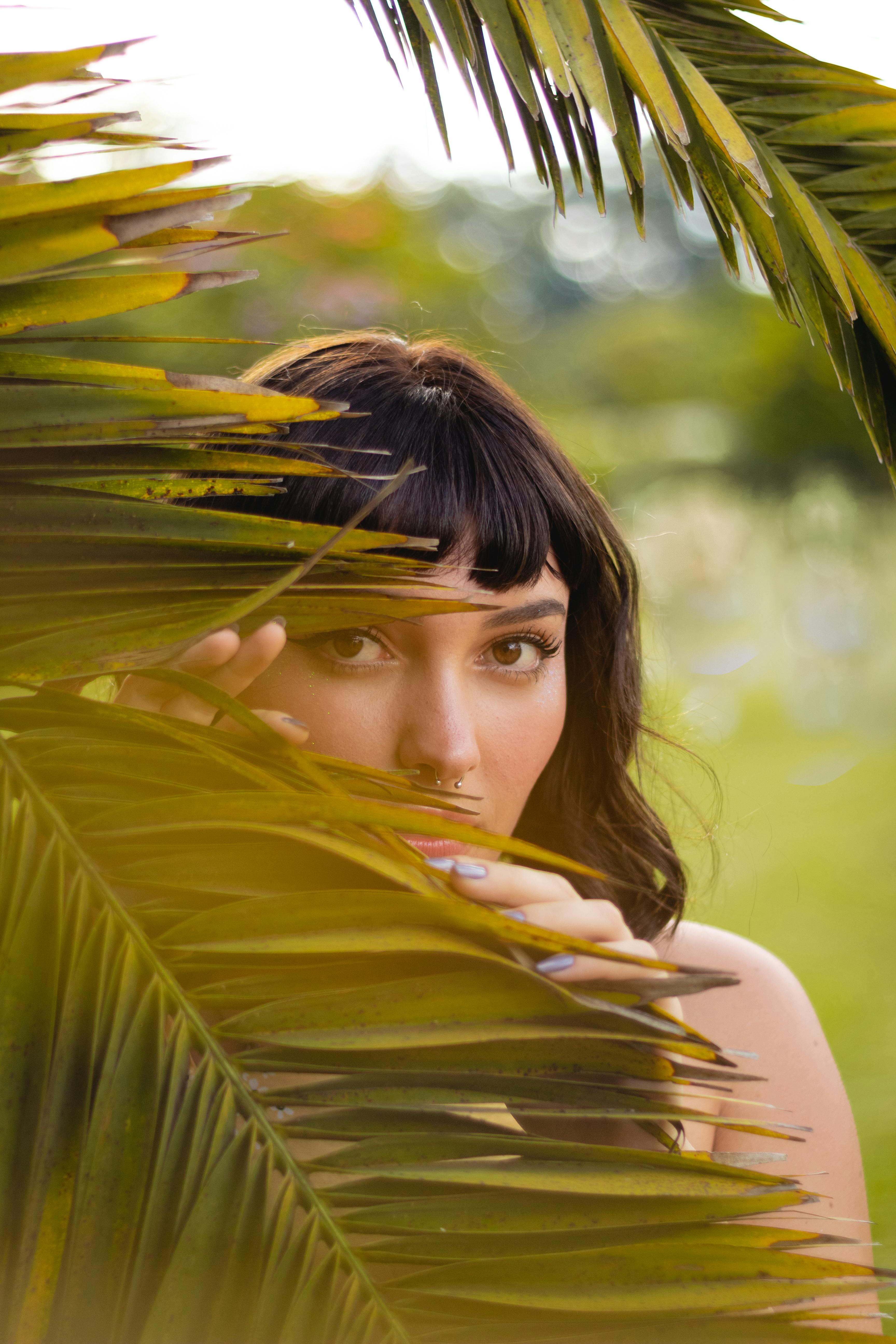 Palm Tree Portrait Photos, Download The BEST Free Palm Tree Portrait ...