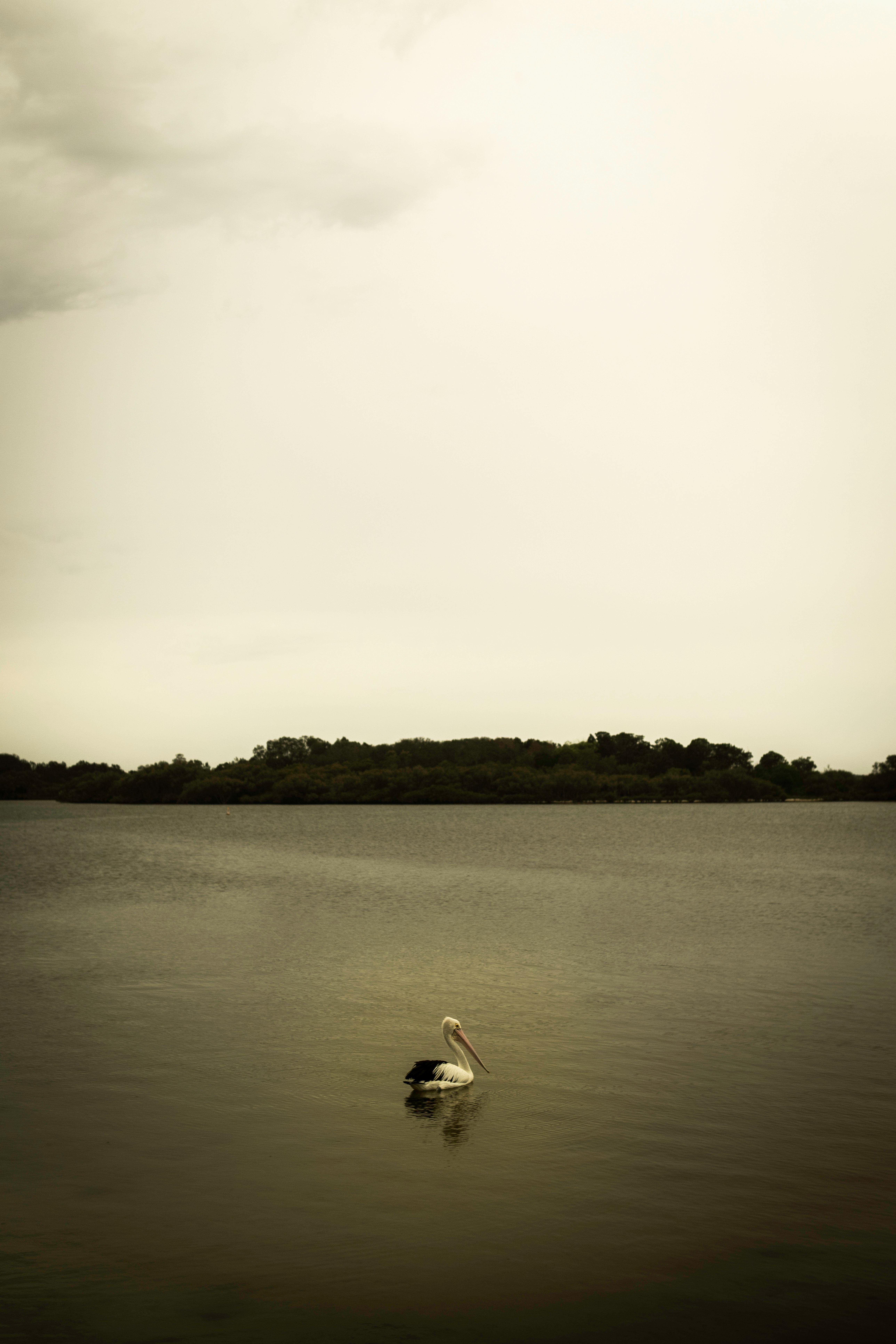 Dingy Photos, Download The BEST Free Dingy Stock Photos & HD Images