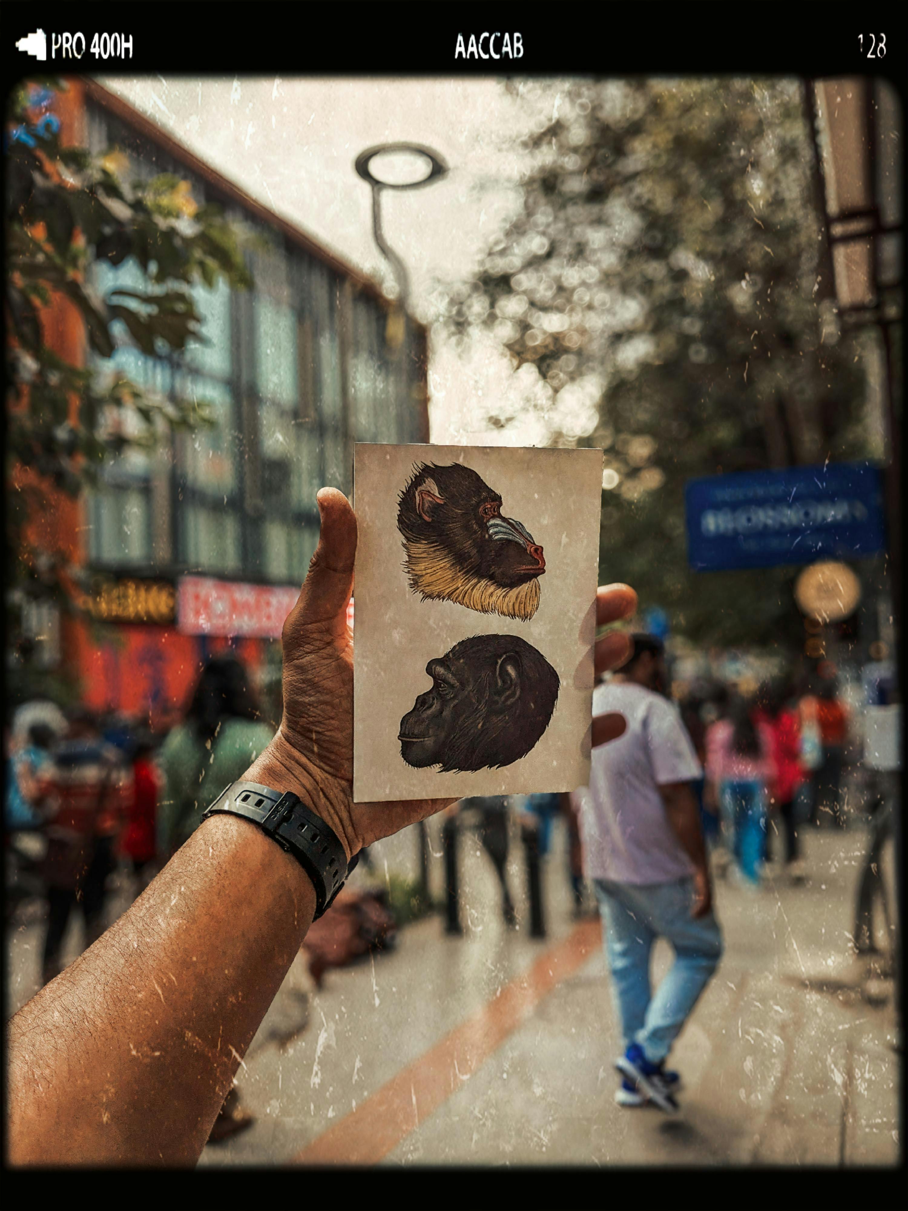 Albin Biju – Fotografia