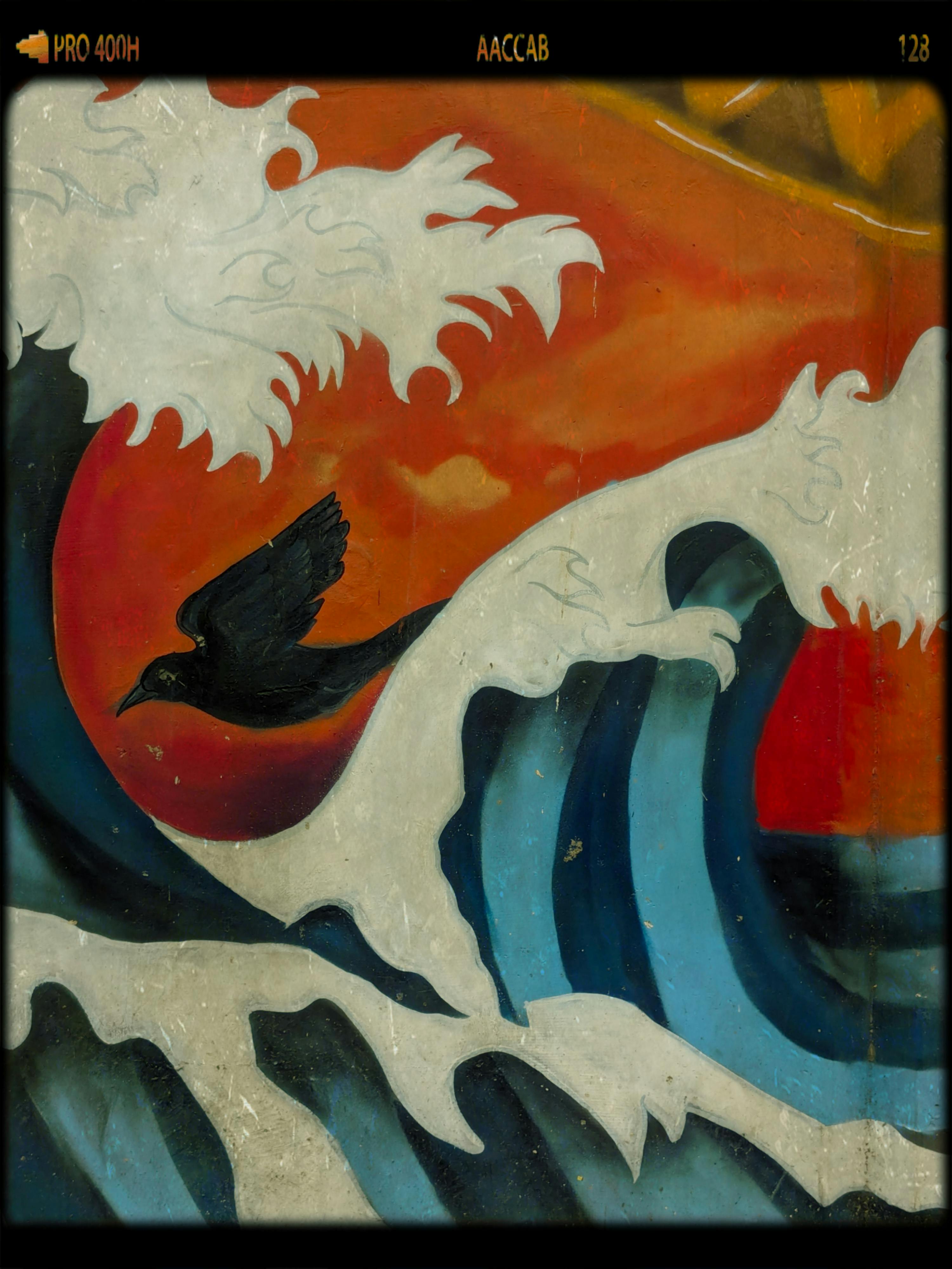 Albin Biju - การถ่ายภาพ