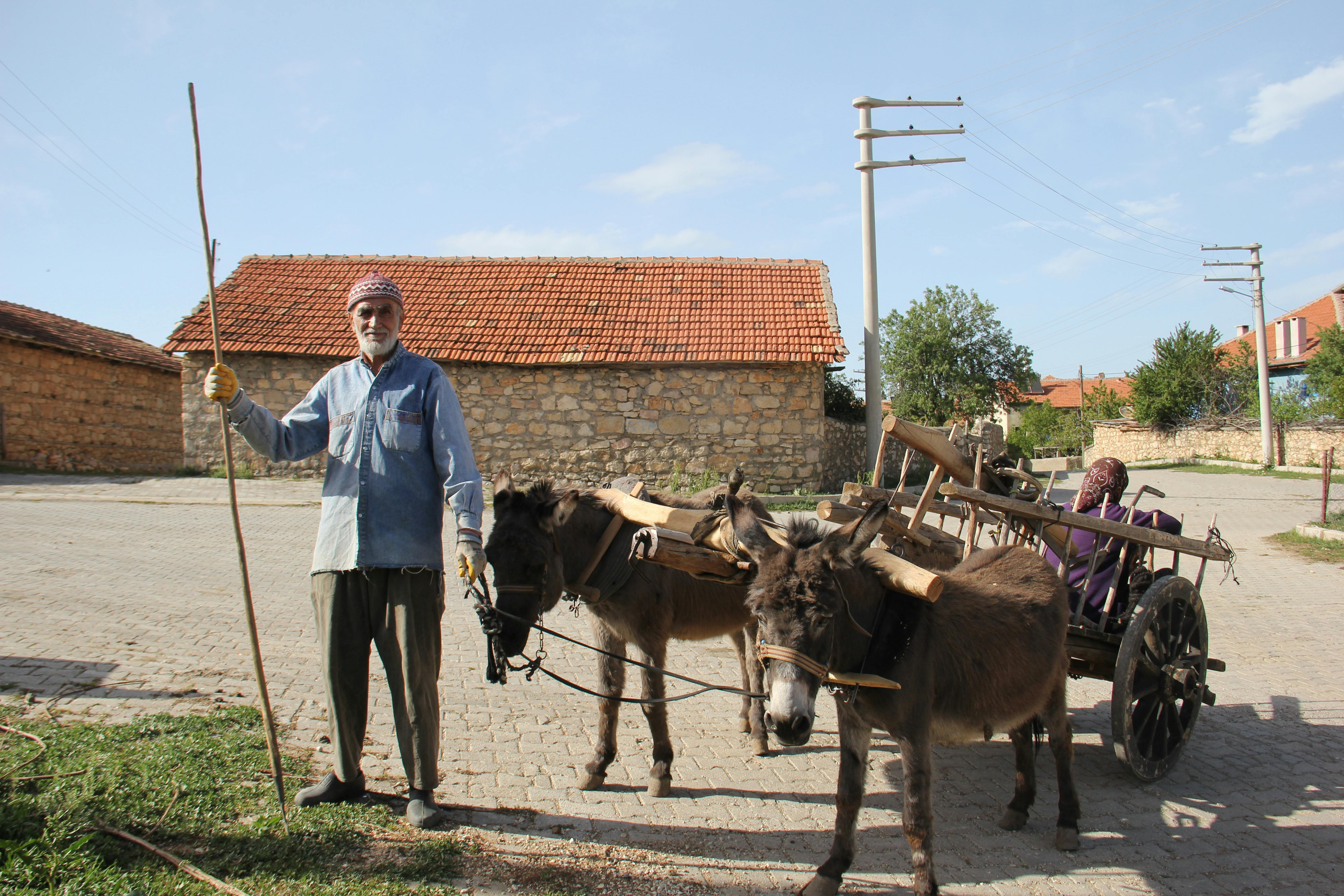 Man in Shirt Standing with Donkeys Cart · Free Stock Photo