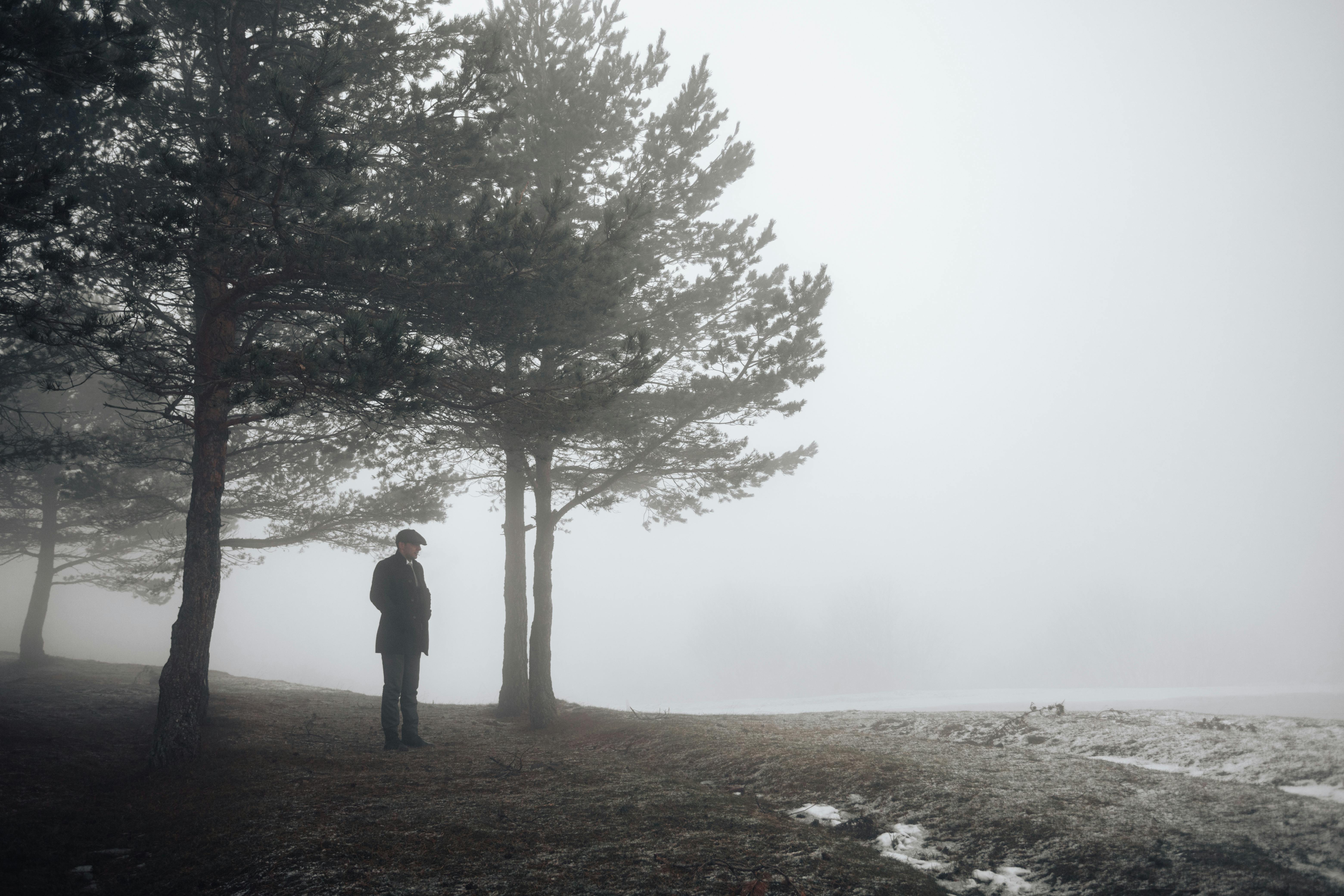 Man Among the Trees on the Edge of a Fog Covered Field on a Cold Winter ...