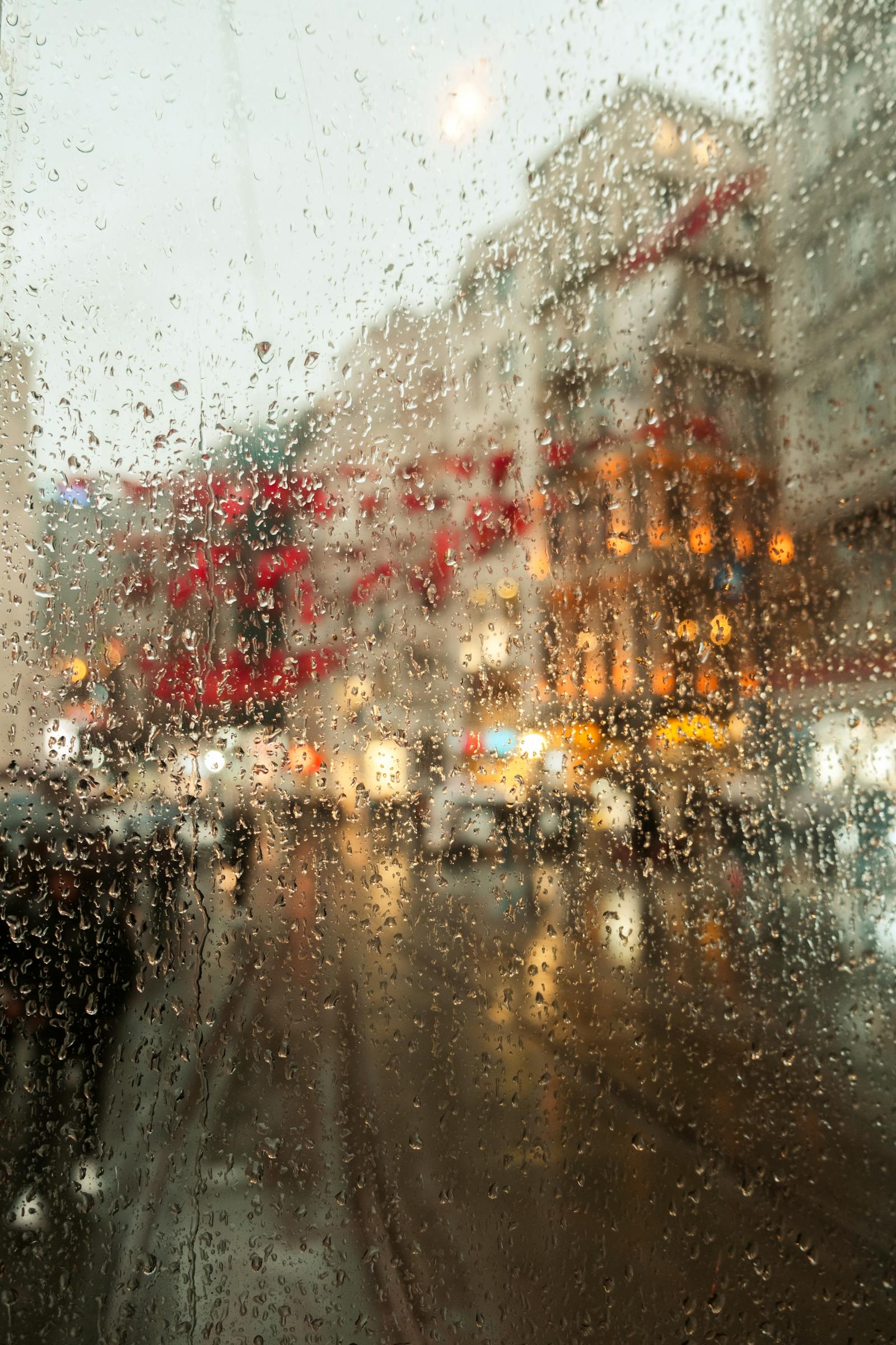 Wet Street Photos, Download The BEST Free Wet Street Stock Photos & HD ...