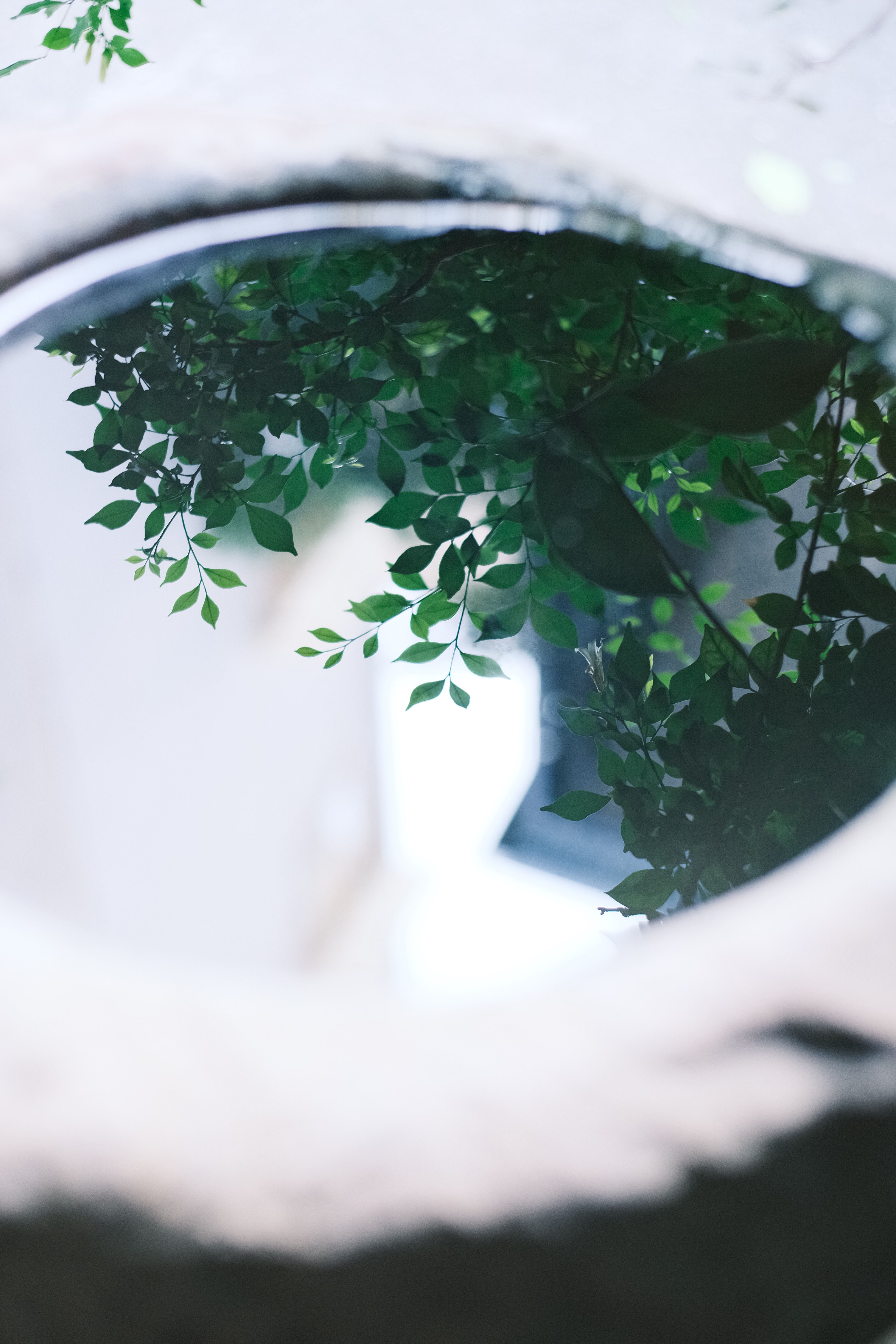Environmental Round Image Photos, Download The BEST Free Environmental ...