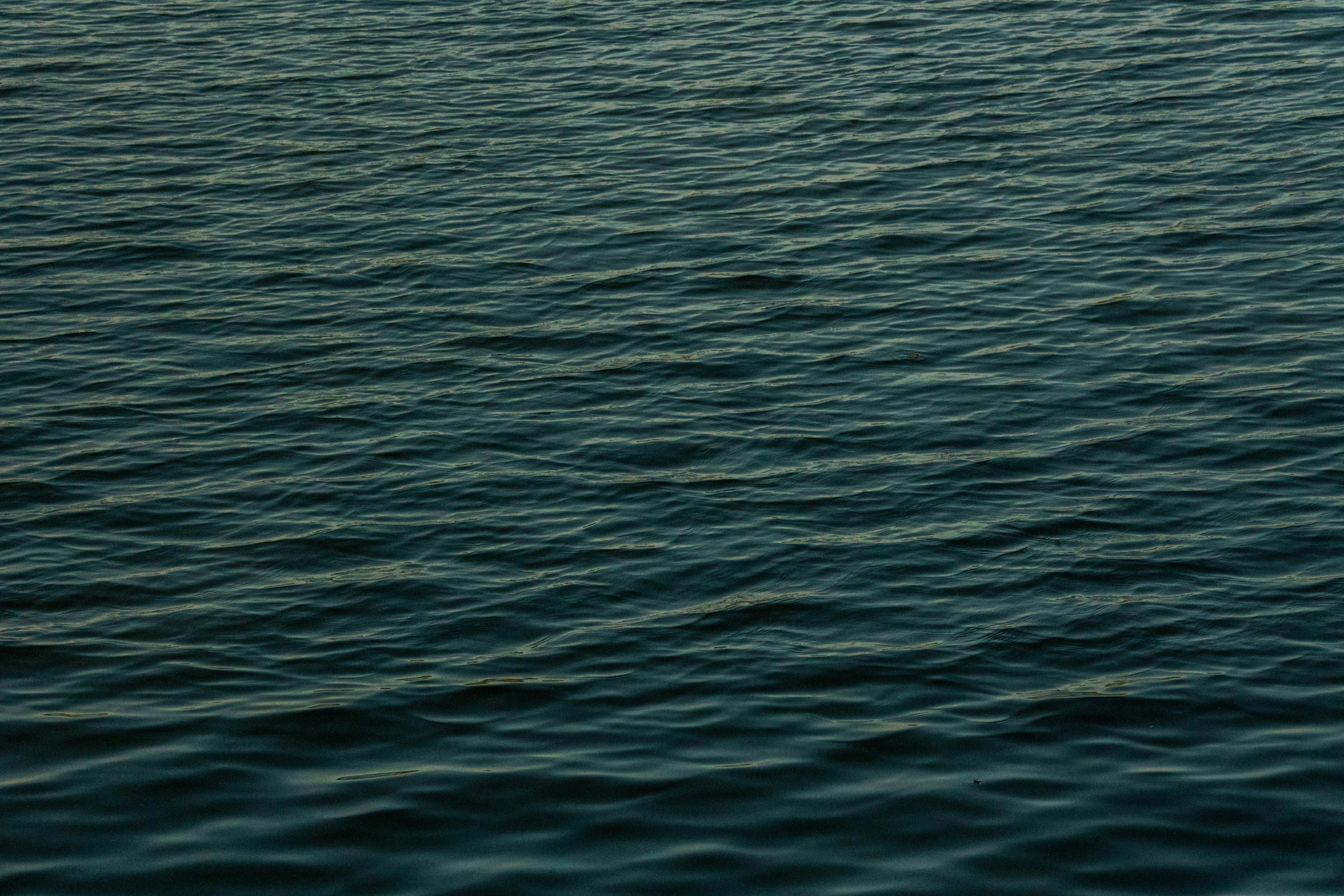 Photo of Dark Blue Calm Water Surface · Free Stock Photo