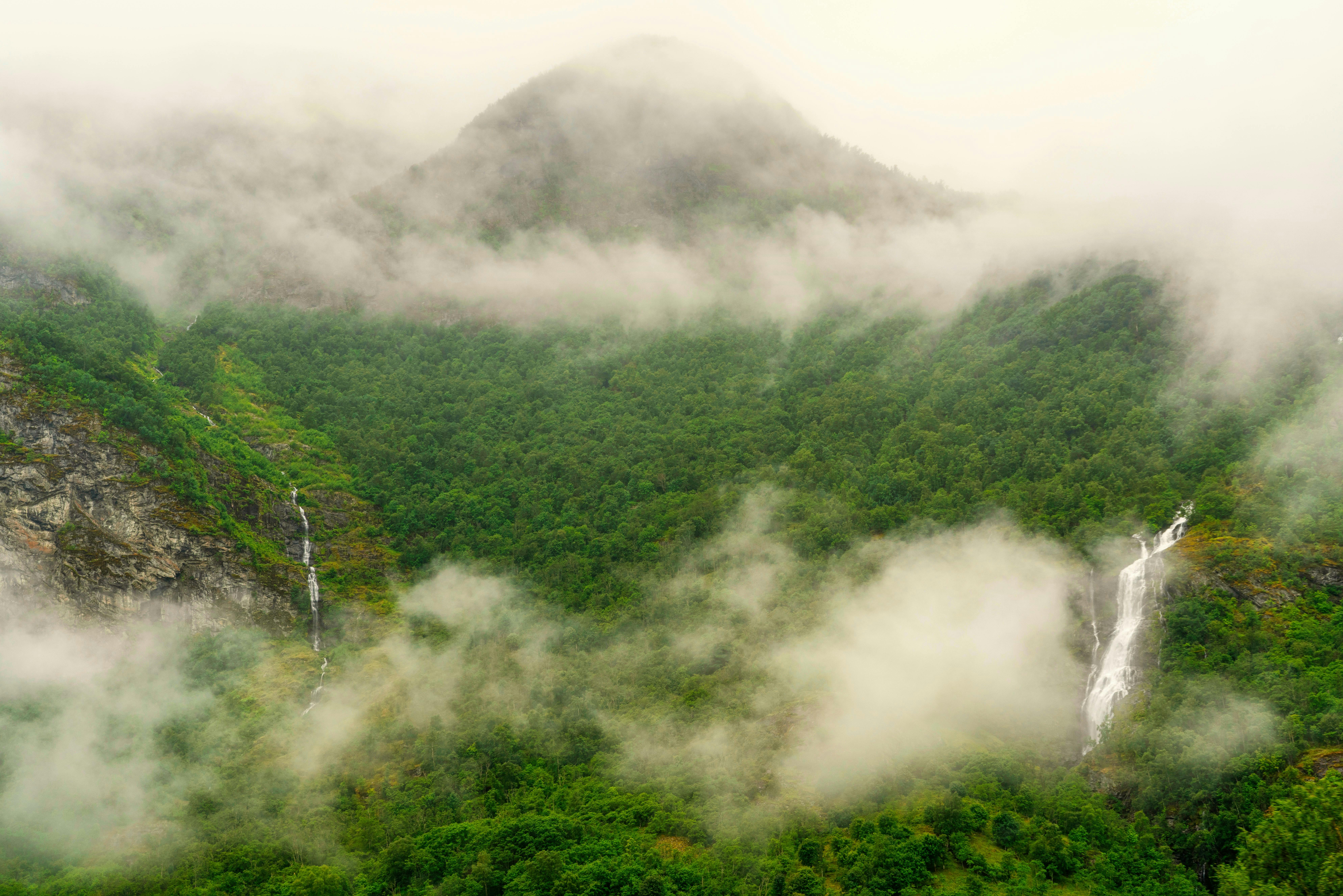 Clouds around Deep Forest in Valley · Free Stock Photo