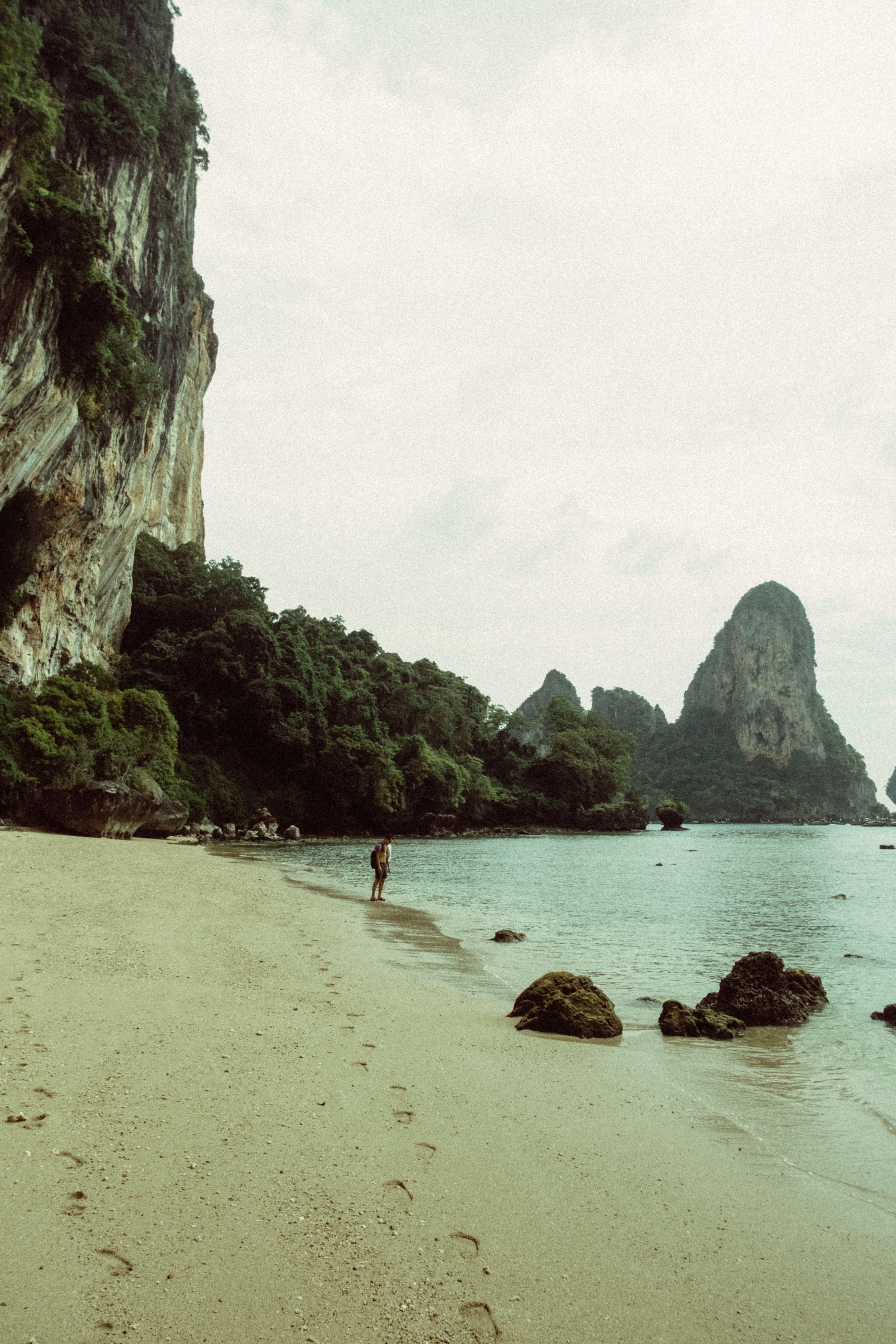 Scenic Beach and Cliff with Forest Trees on the Coast · Free Stock Photo