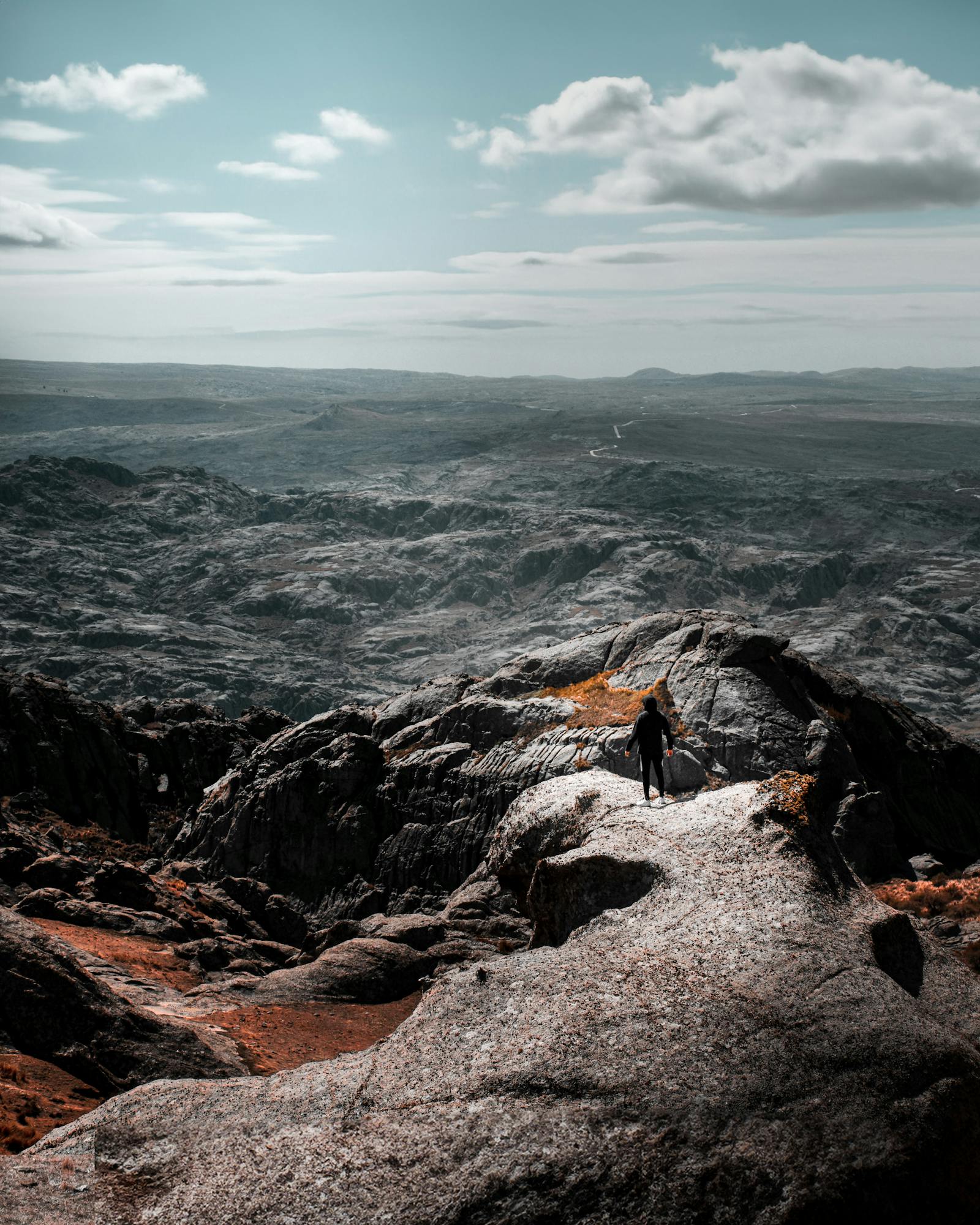 A Man Standing On The Edge Photos, Download The BEST Free A Man ...