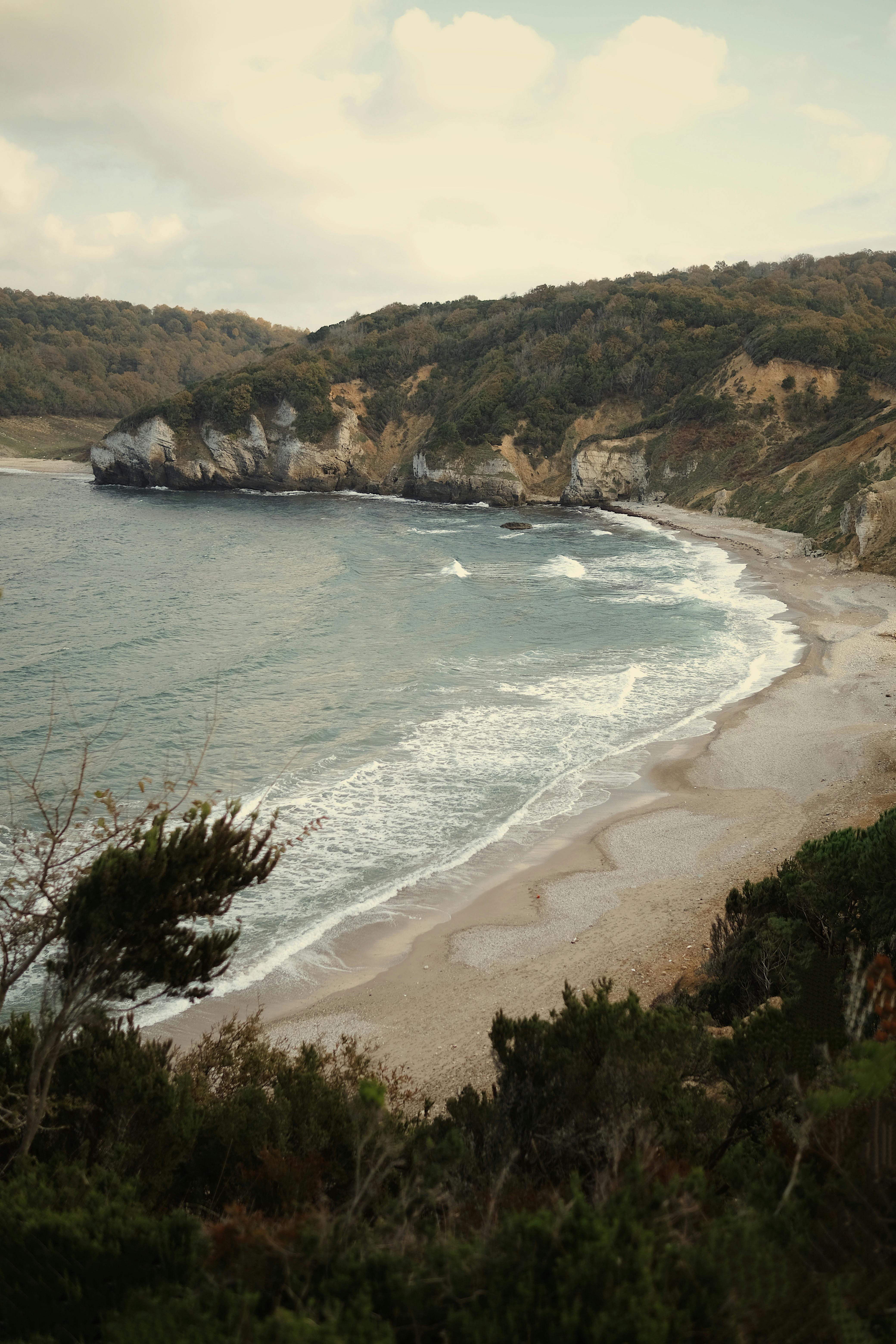 Photo of a Seacoast with Buildings · Free Stock Photo