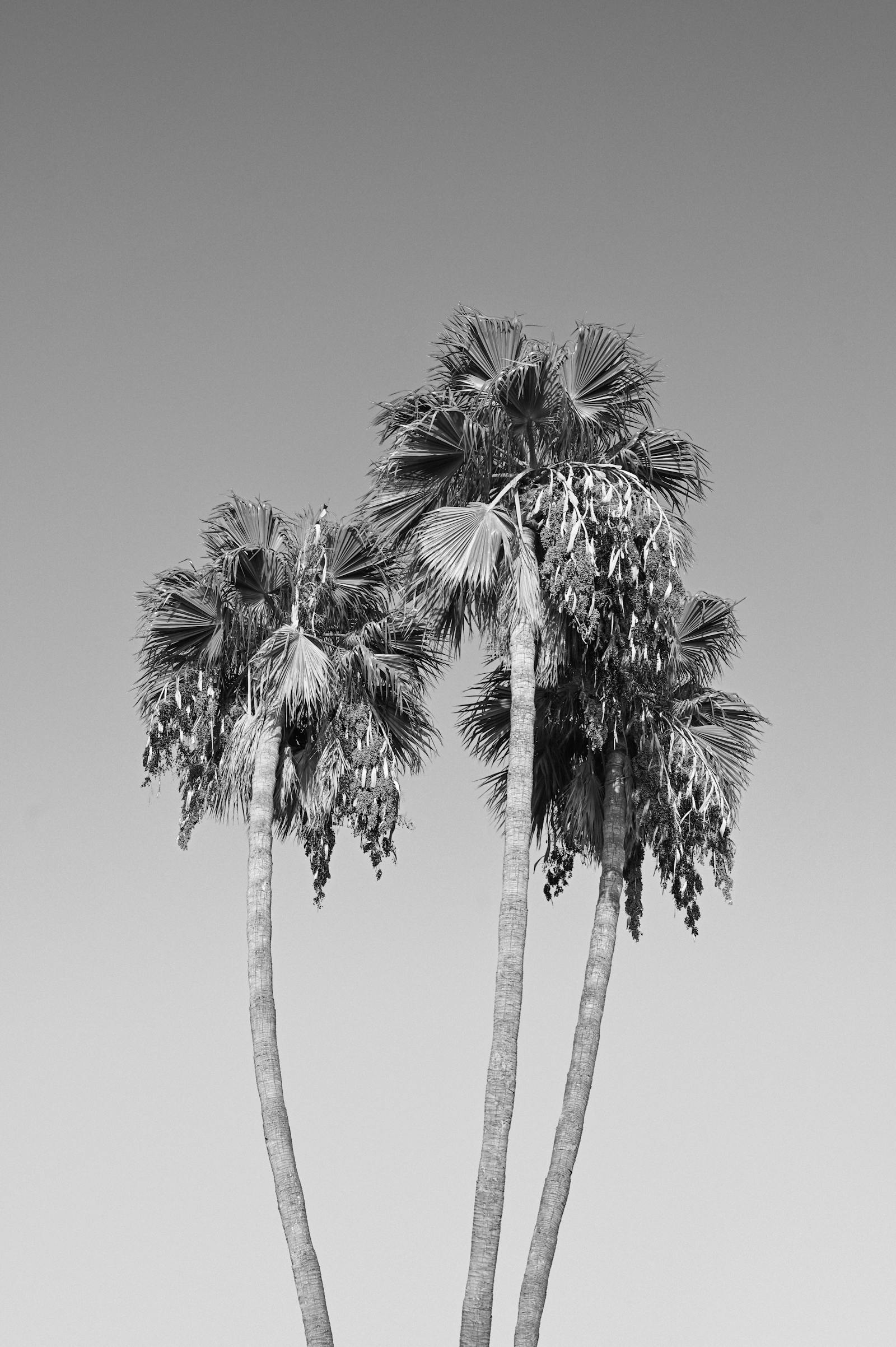 Cele mai bune 100.000+ fotografii cu tema Fundal Powerpoint ...