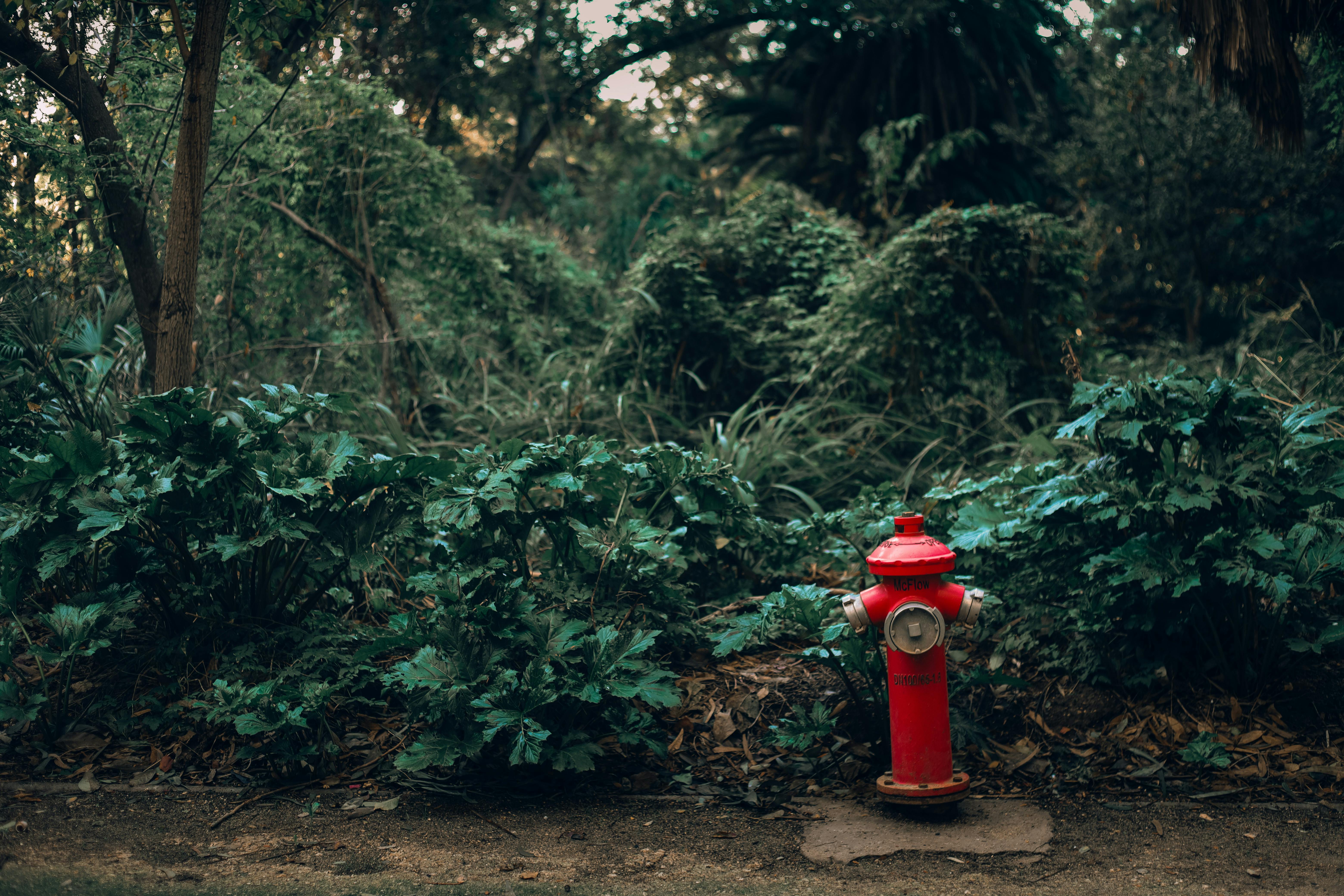 Fire Hydrant in Green Garden · Free Stock Photo