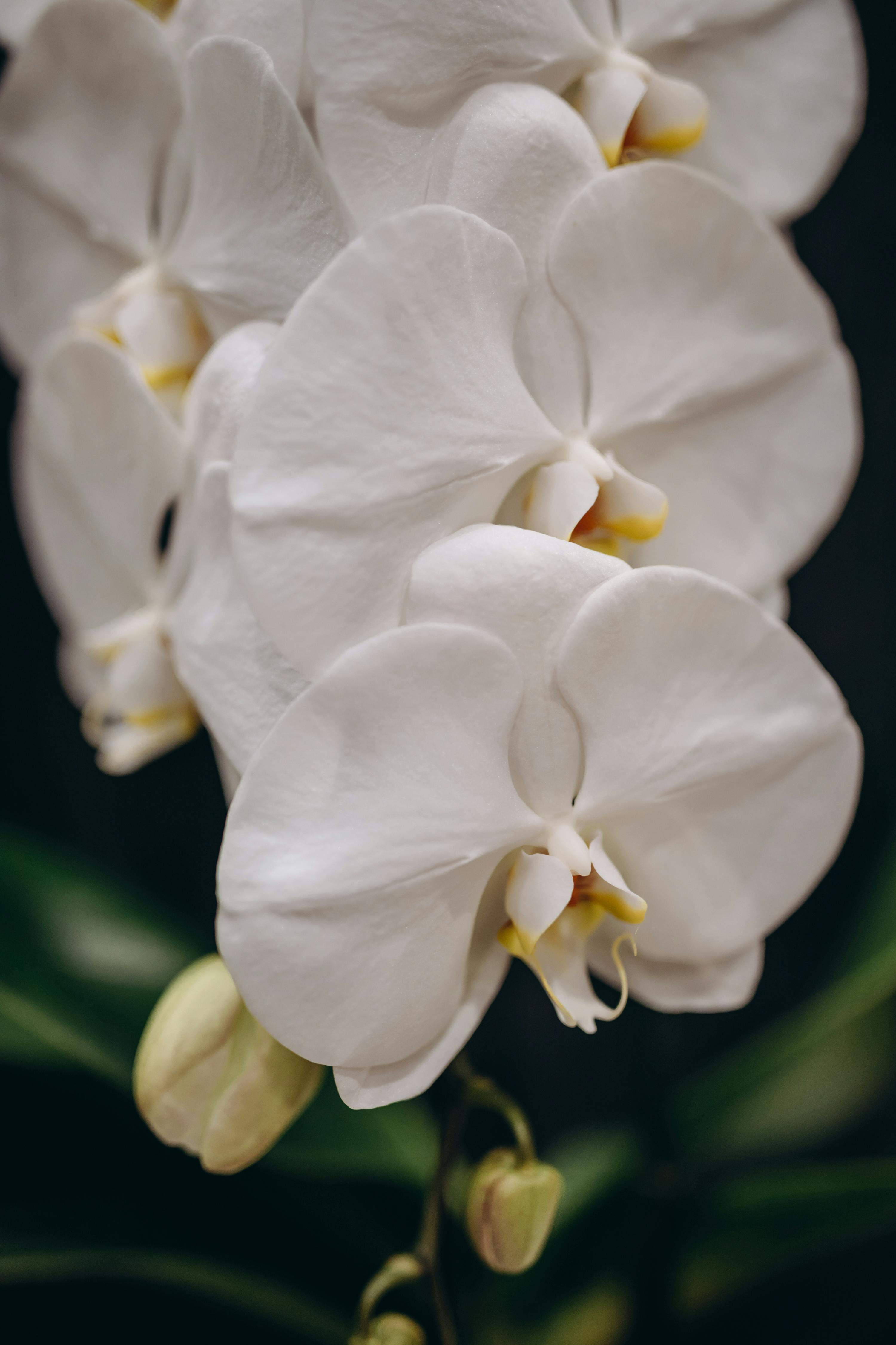 Plant Ing Photos, Download The BEST Free Plant Ing Stock Photos & HD Images