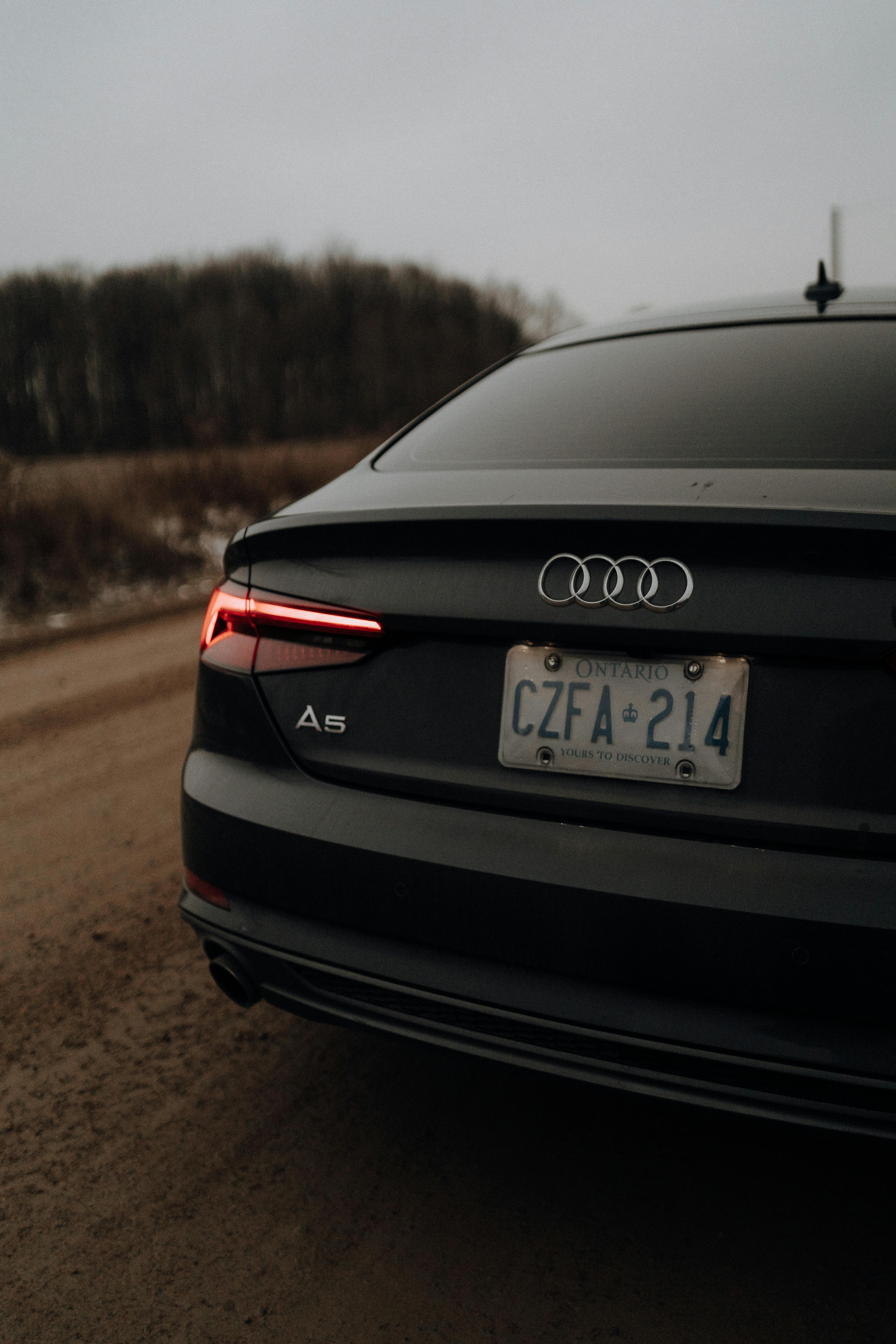 Clara Ig Photos, Download The BEST Free Clara Ig Stock Photos & HD Images