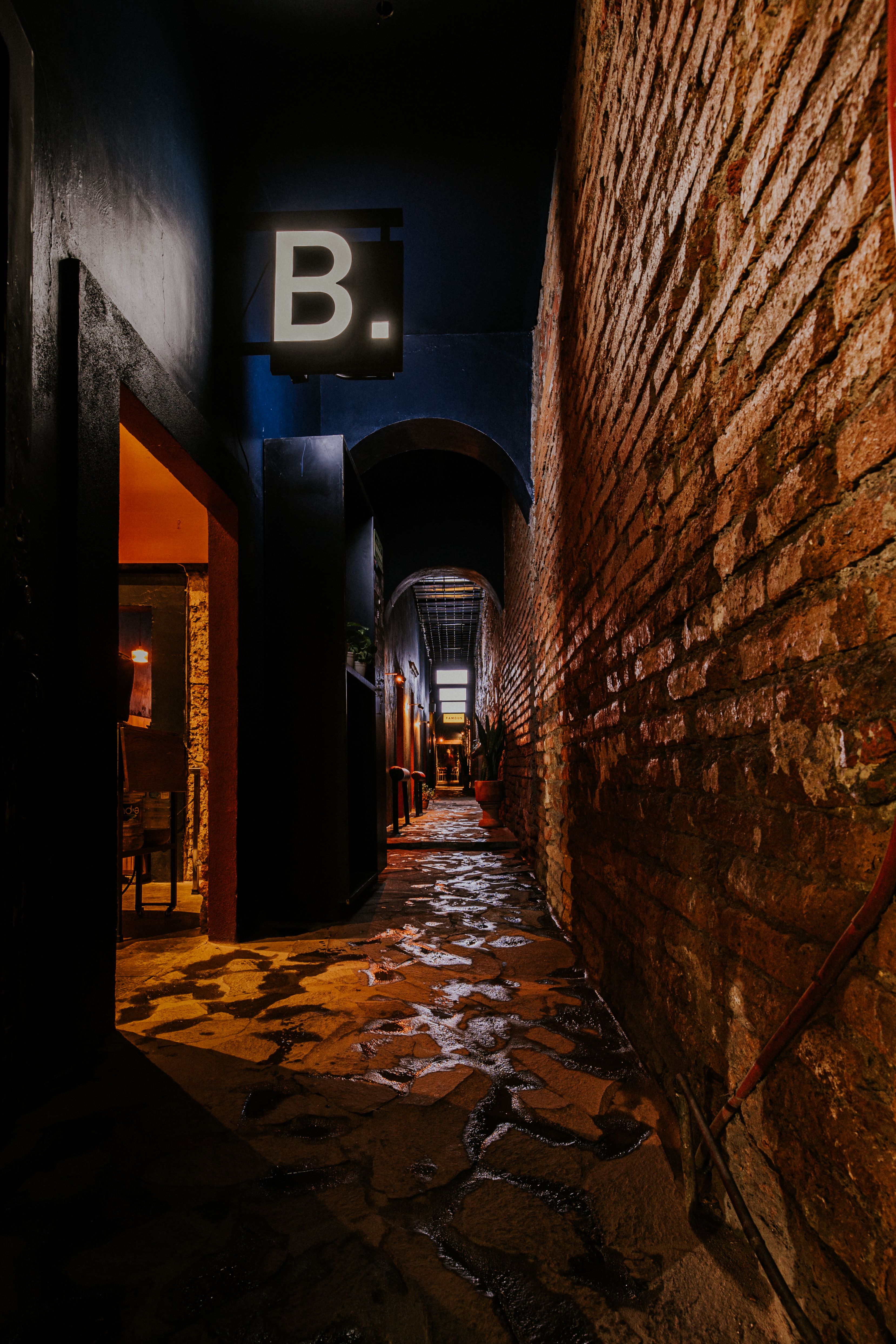 Foto de stock gratuita sobre callejón, estrecho, leon gto, muro, noche ...