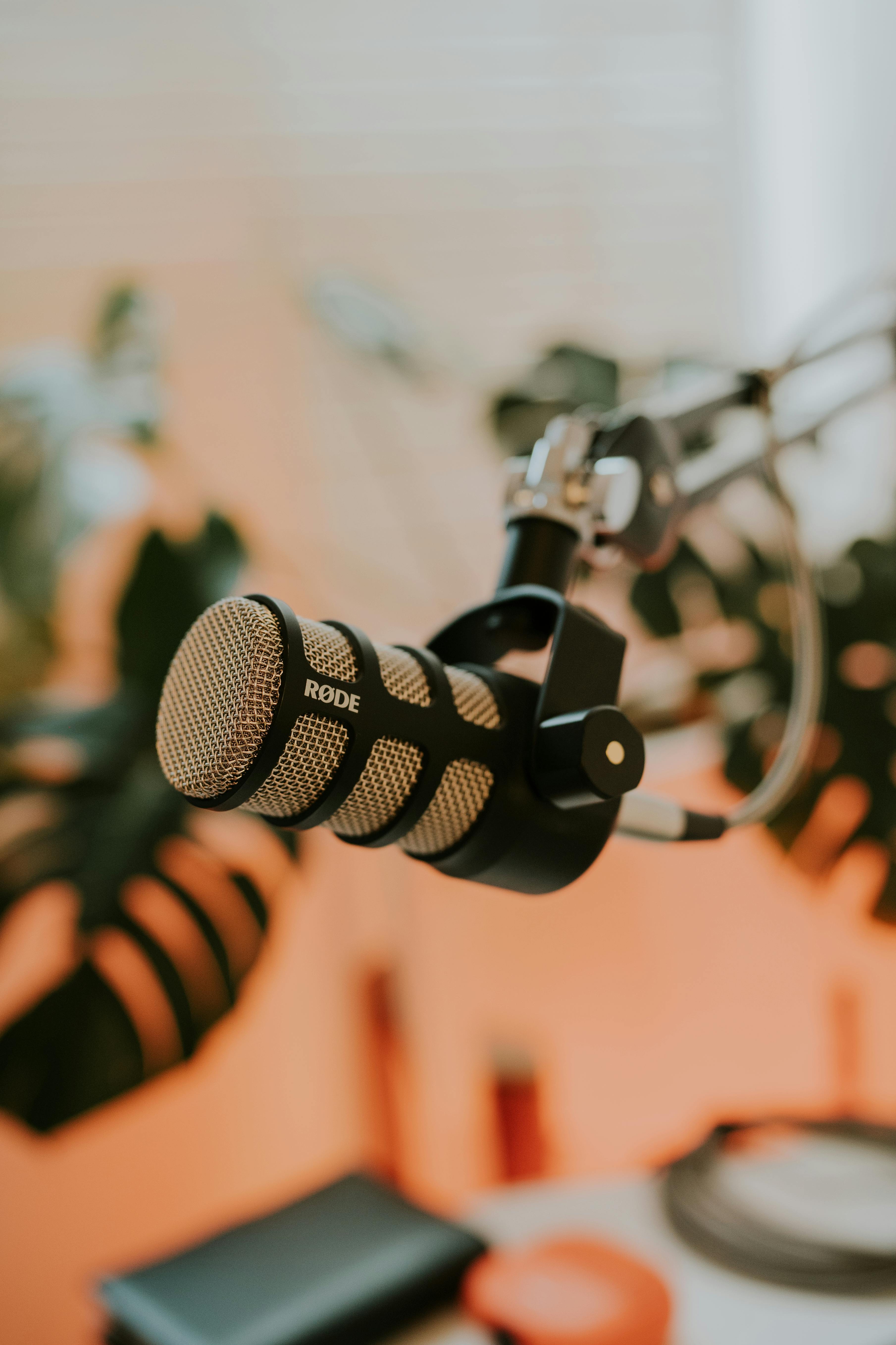 Foto de stock gratuita sobre de cerca, grabación de voz, micrófono ...