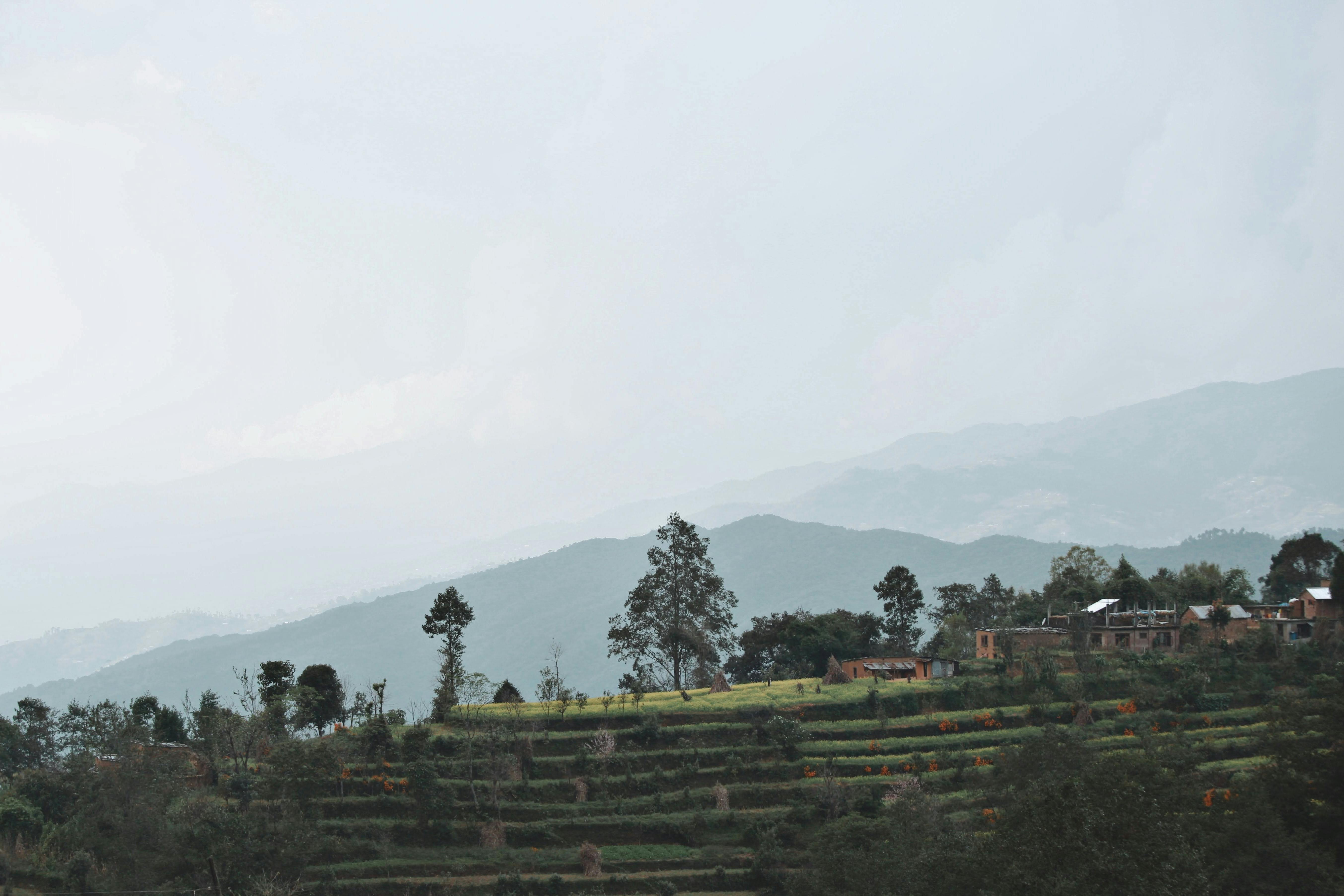 Yellow Boxes Beside Tree on Fruit Plantation · Free Stock Photo