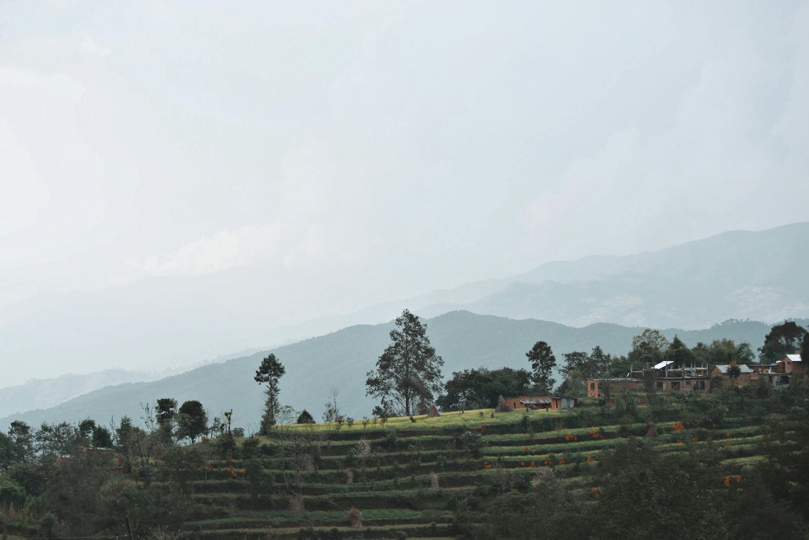 Terrace Plantation Photos, Download The BEST Free Terrace Plantation ...