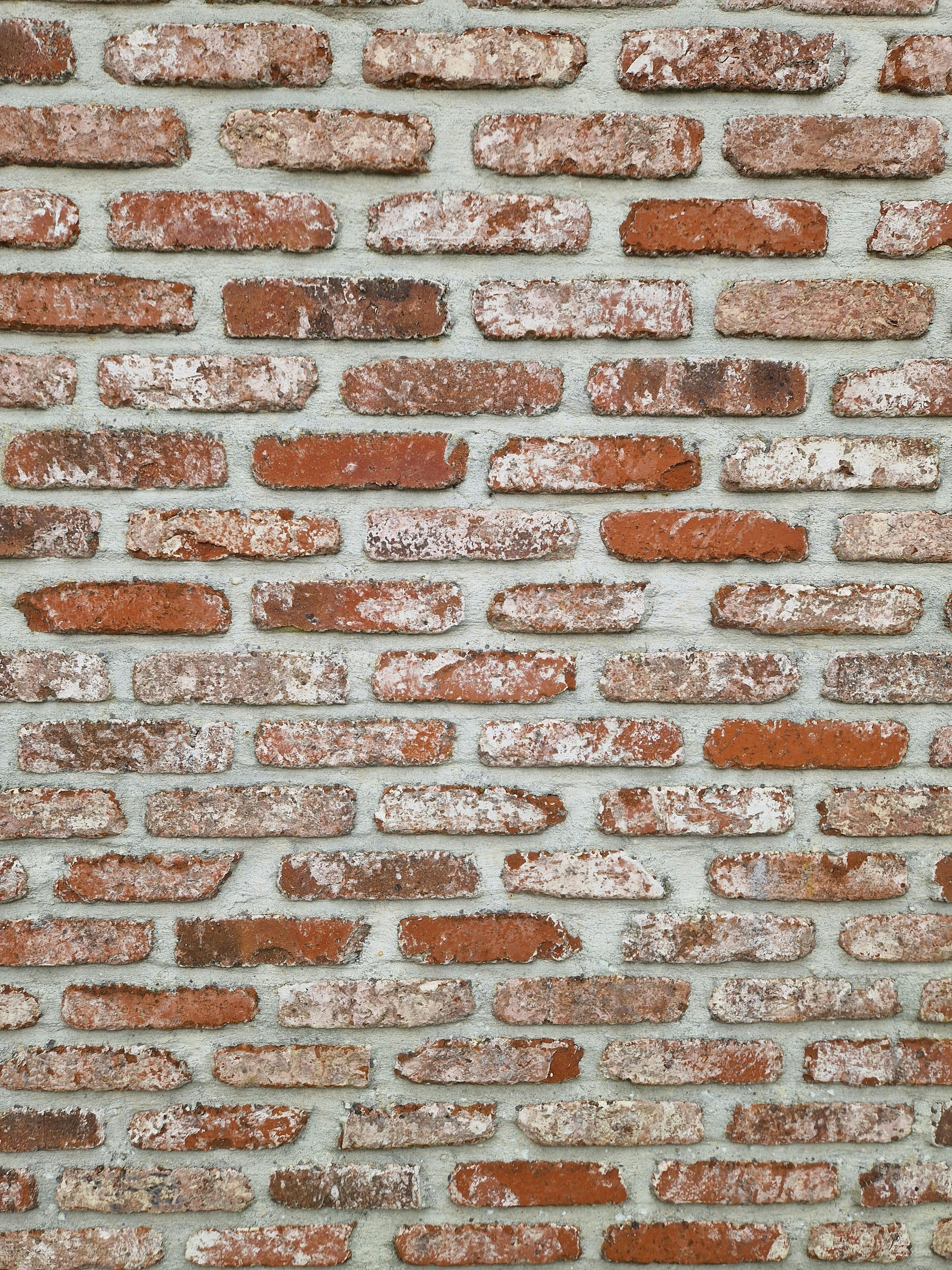 Solid Brick Wall Texture · Free Stock Photo
