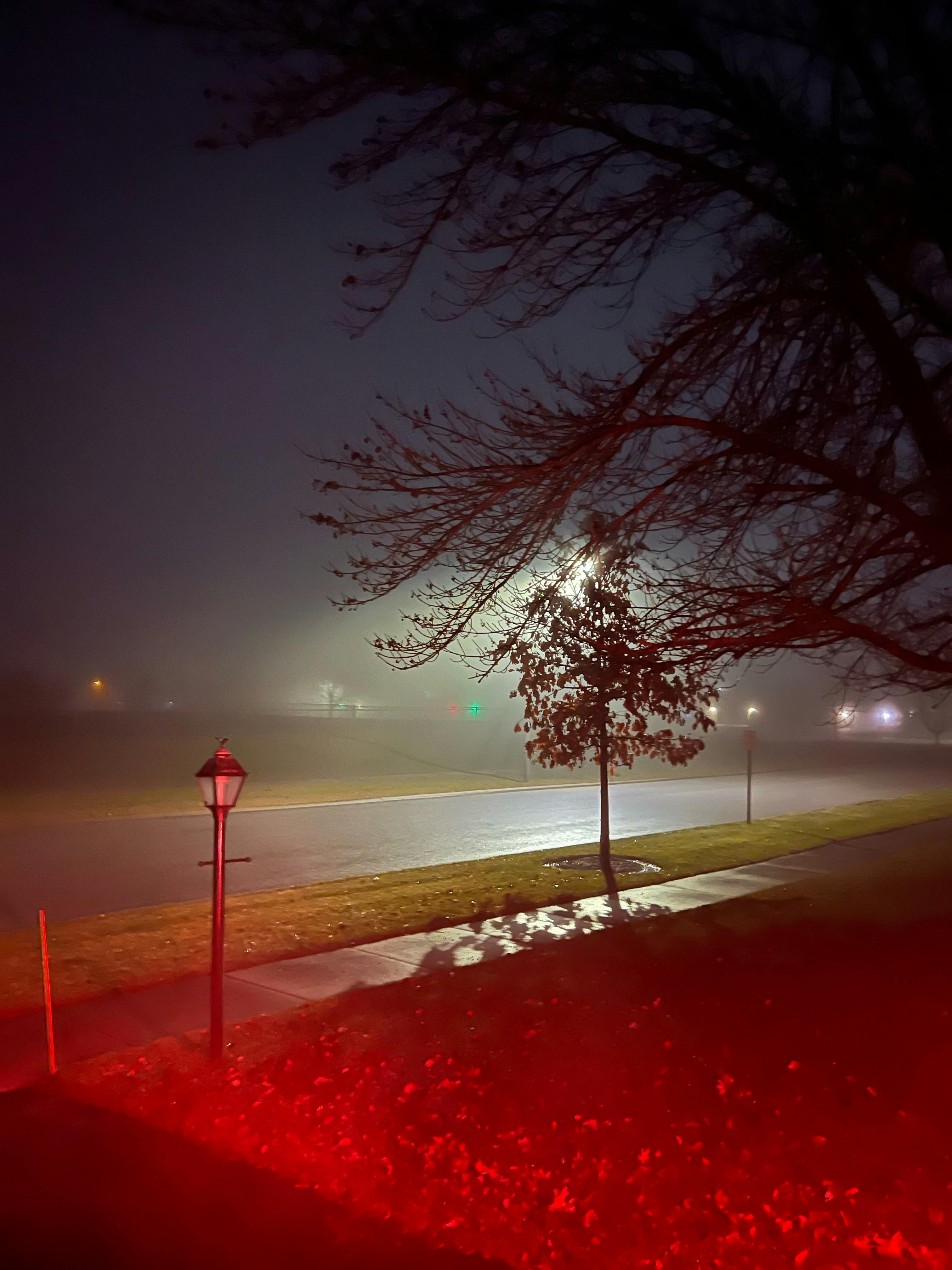 Nad Batayeh - Photography