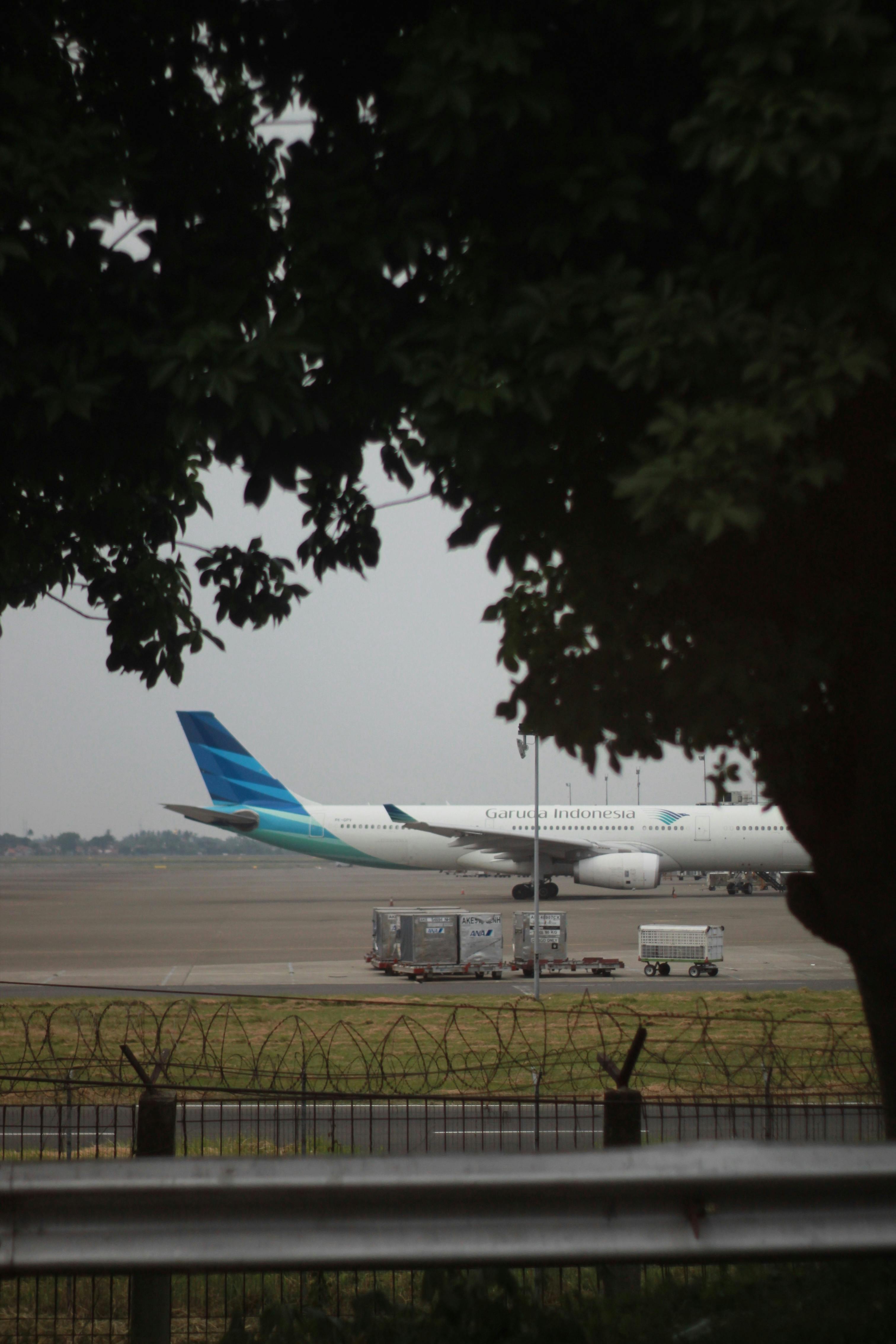 Matthew Gregory - 写真