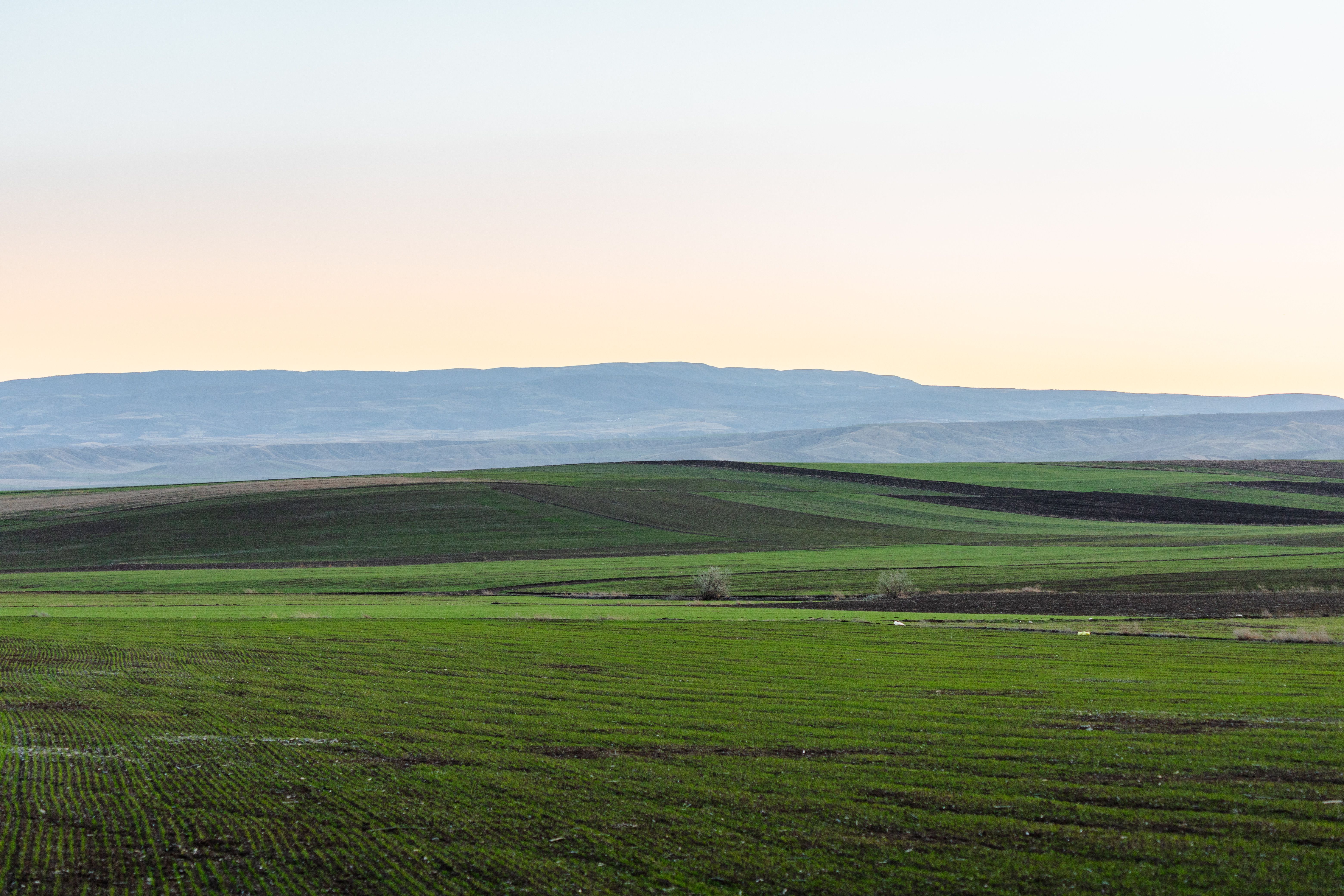Plains in Countryside · Free Stock Photo