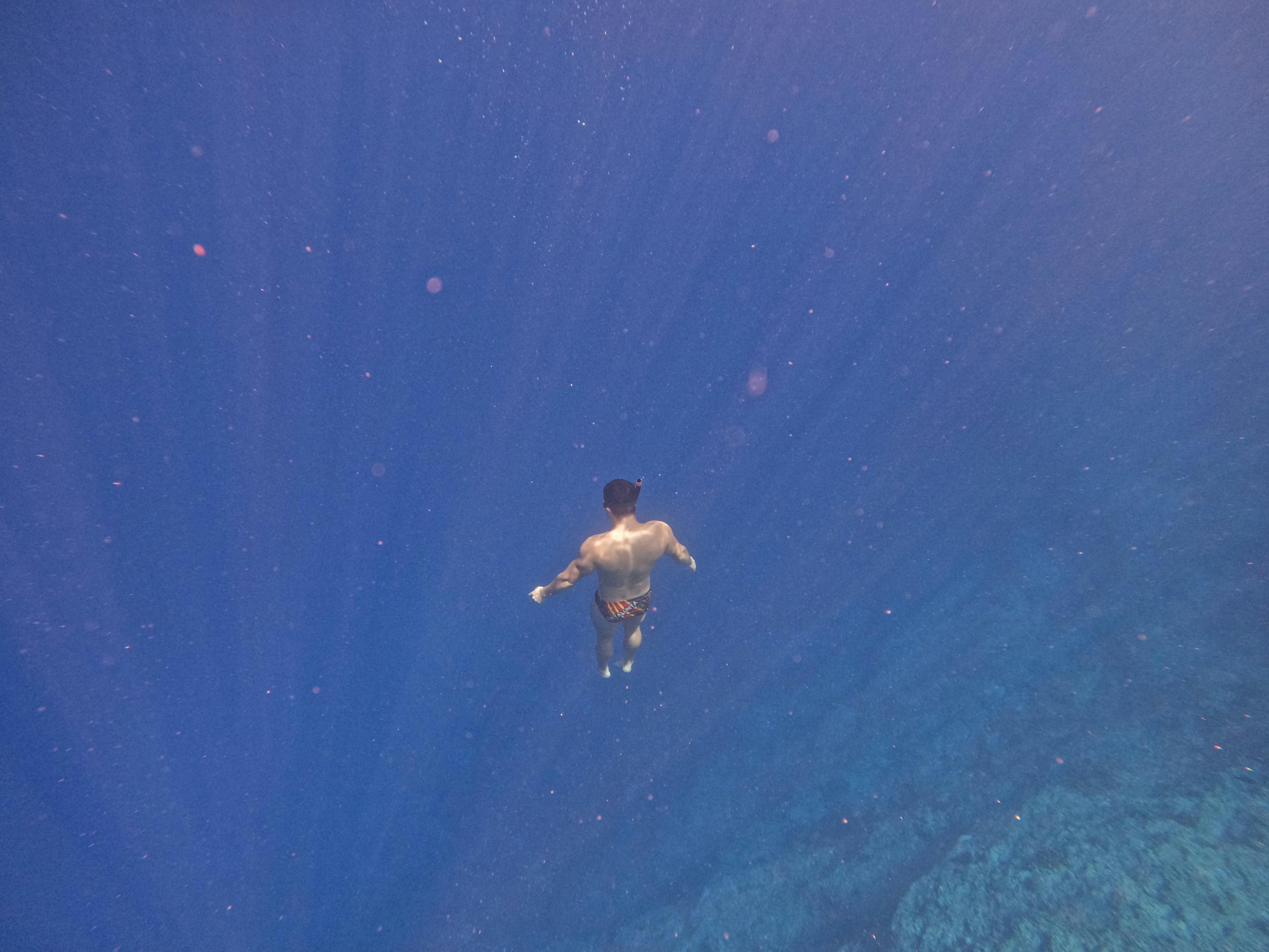 Man Diving Underwater · Free Stock Photo