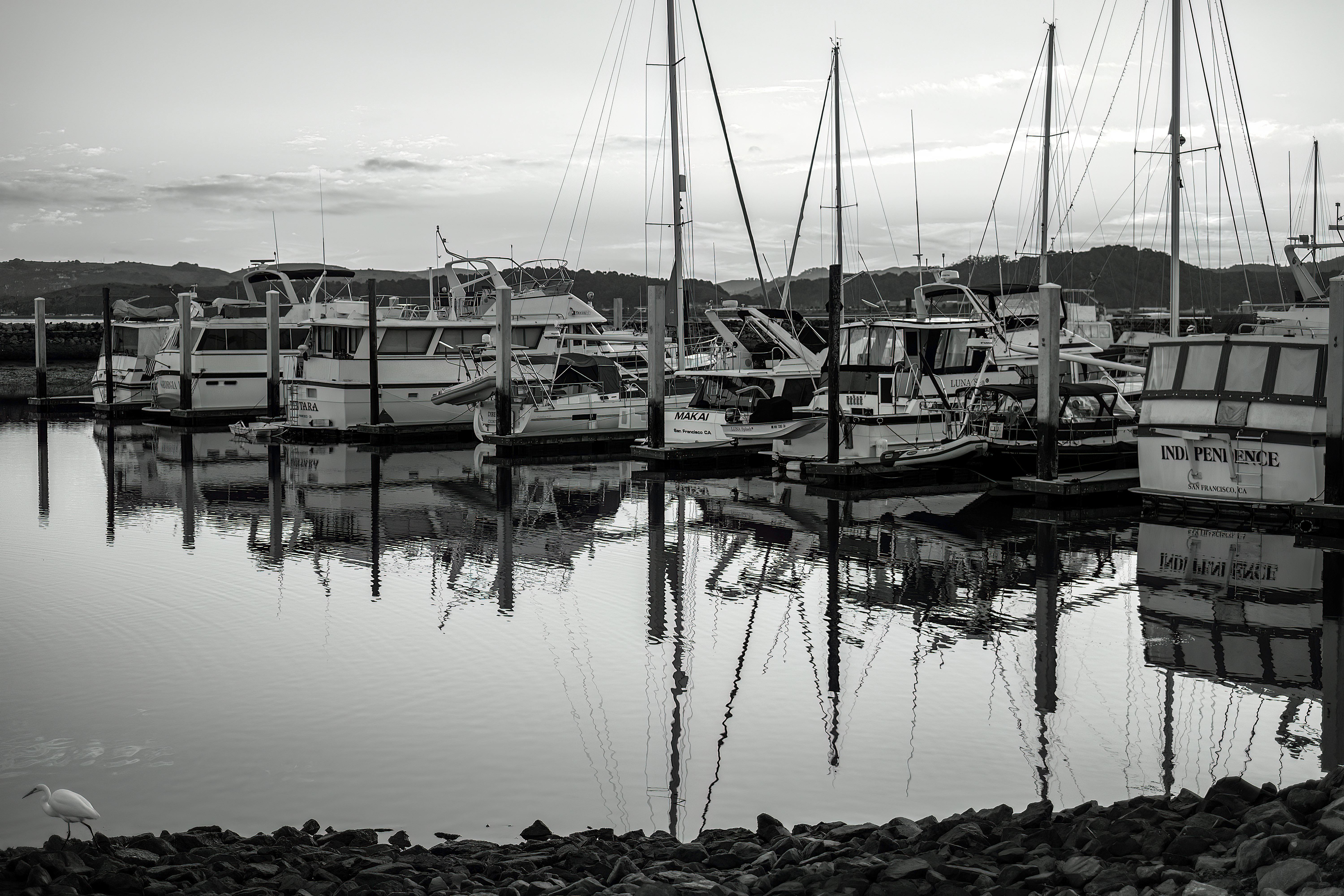 Top View of Boats in the Harbor · Free Stock Photo