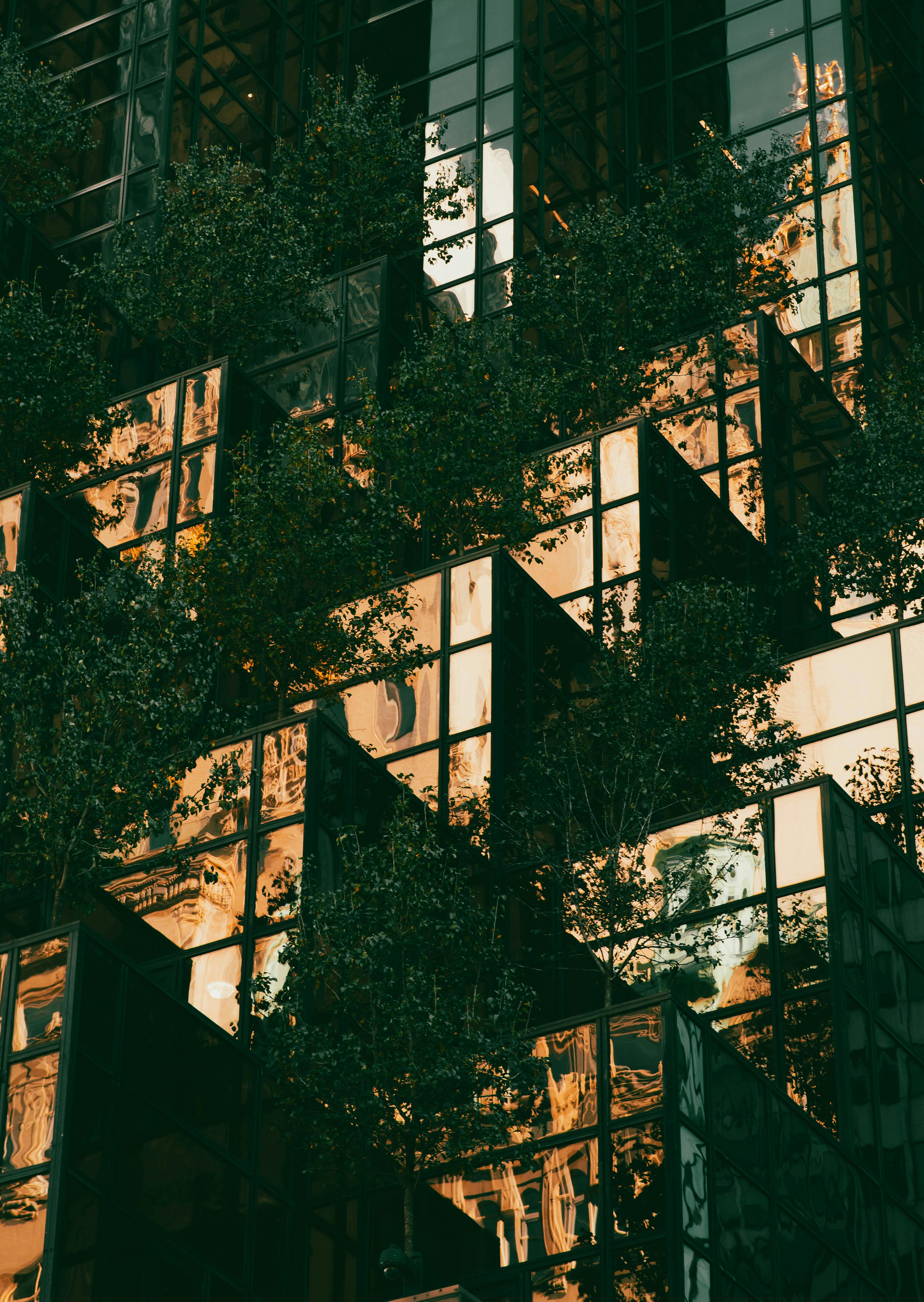 Glass Cube Balconies with Potted Trees · Free Stock Photo