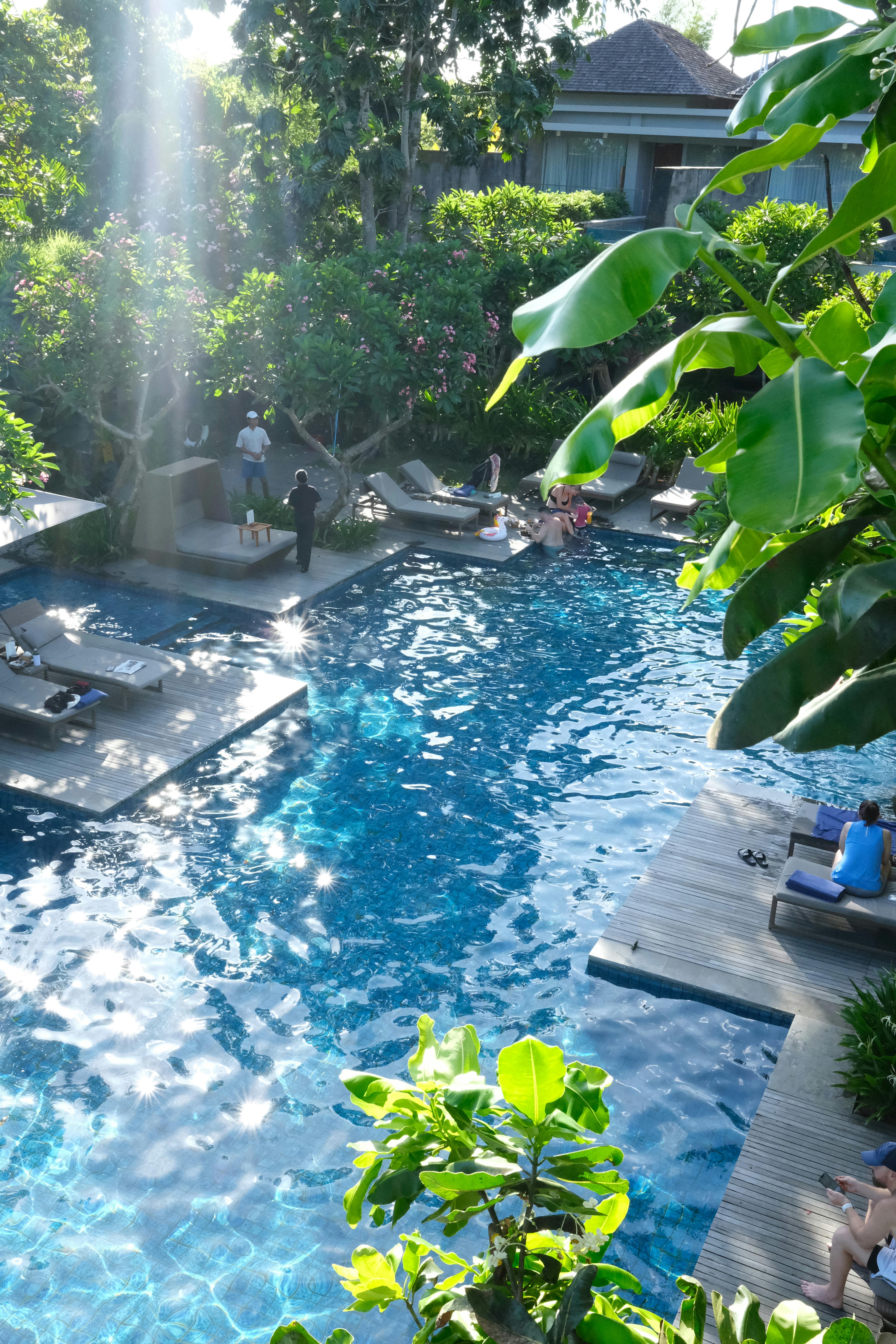 People at Pool in Summer · Free Stock Photo