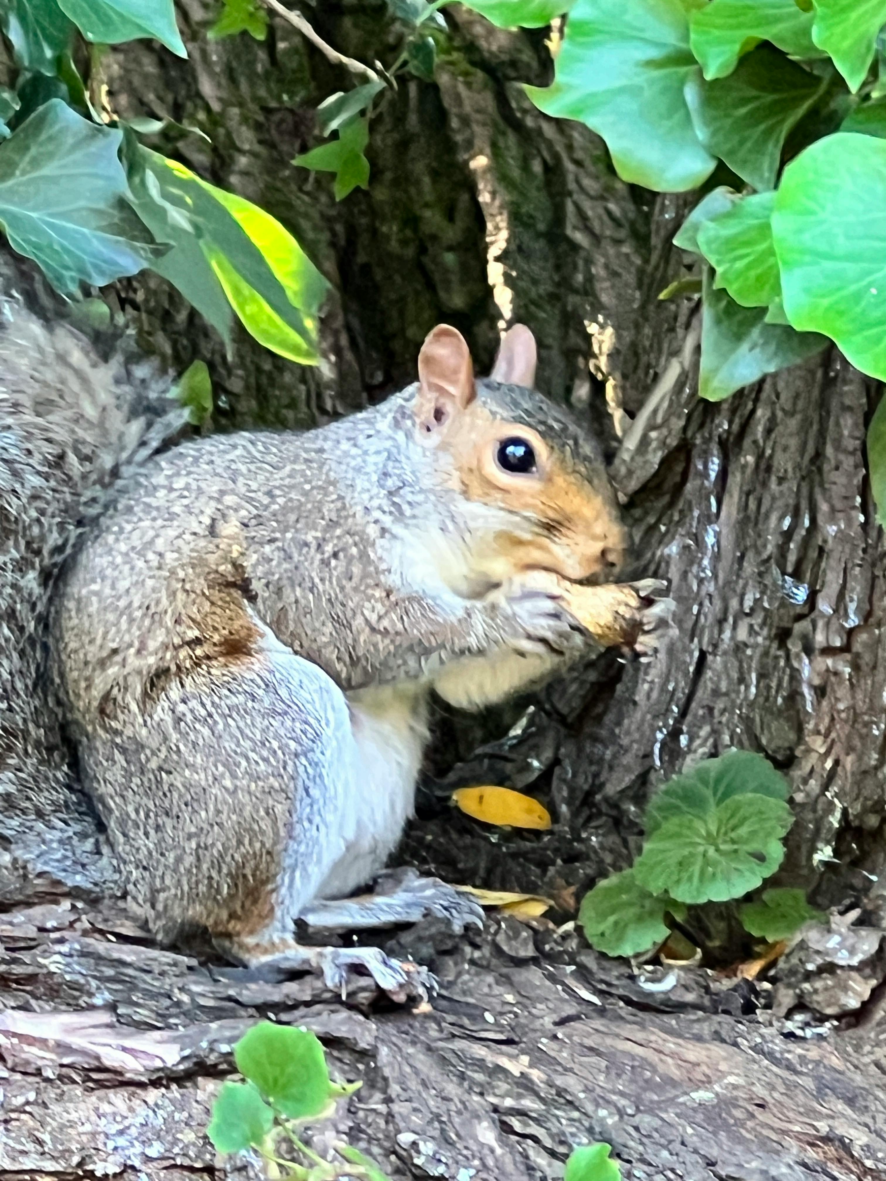 Ileana Bondor - Photography