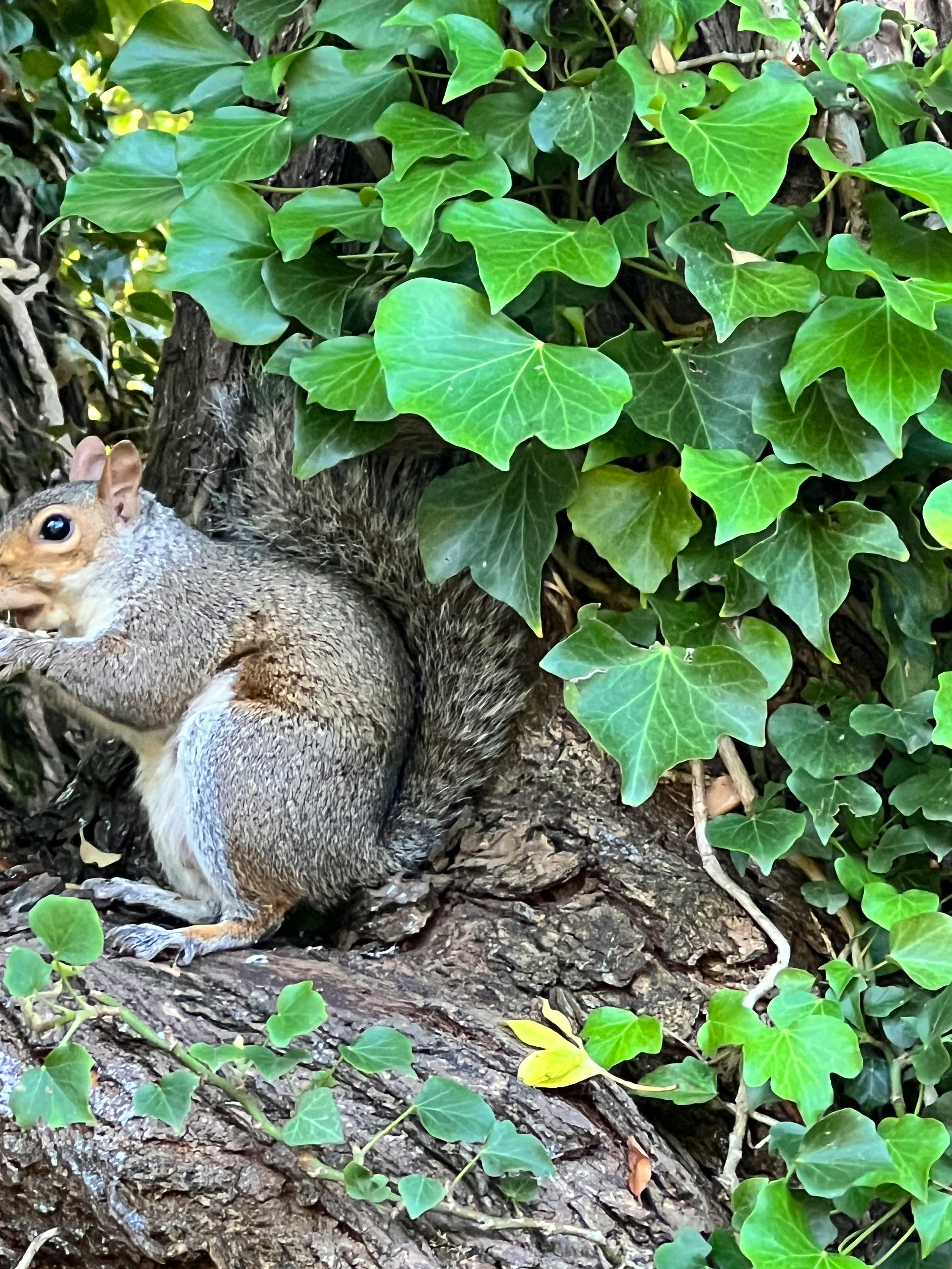 Ileana Bondor - Photography