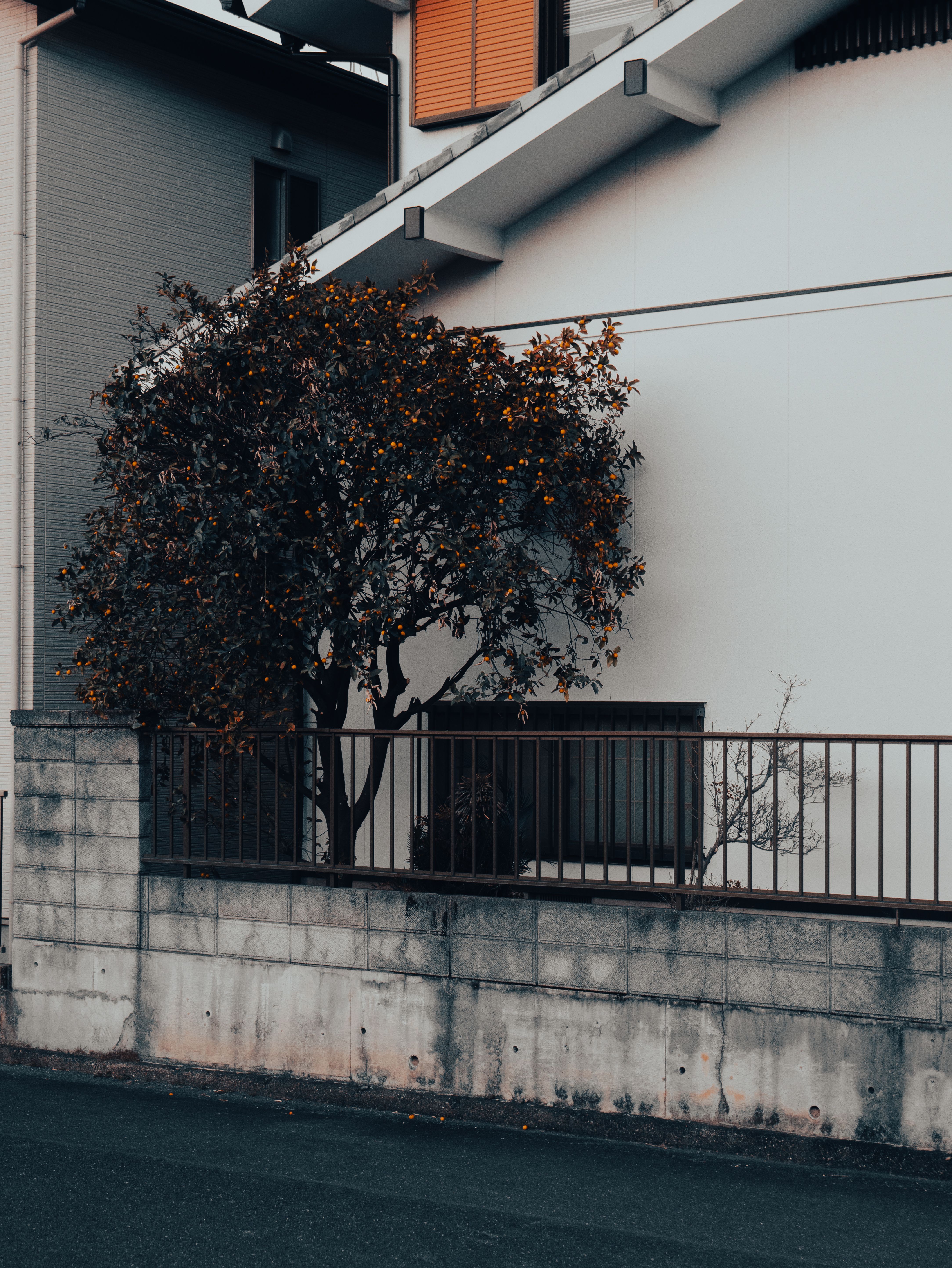 Japan Suburb Wall Photos, Download The BEST Free Japan Suburb Wall ...
