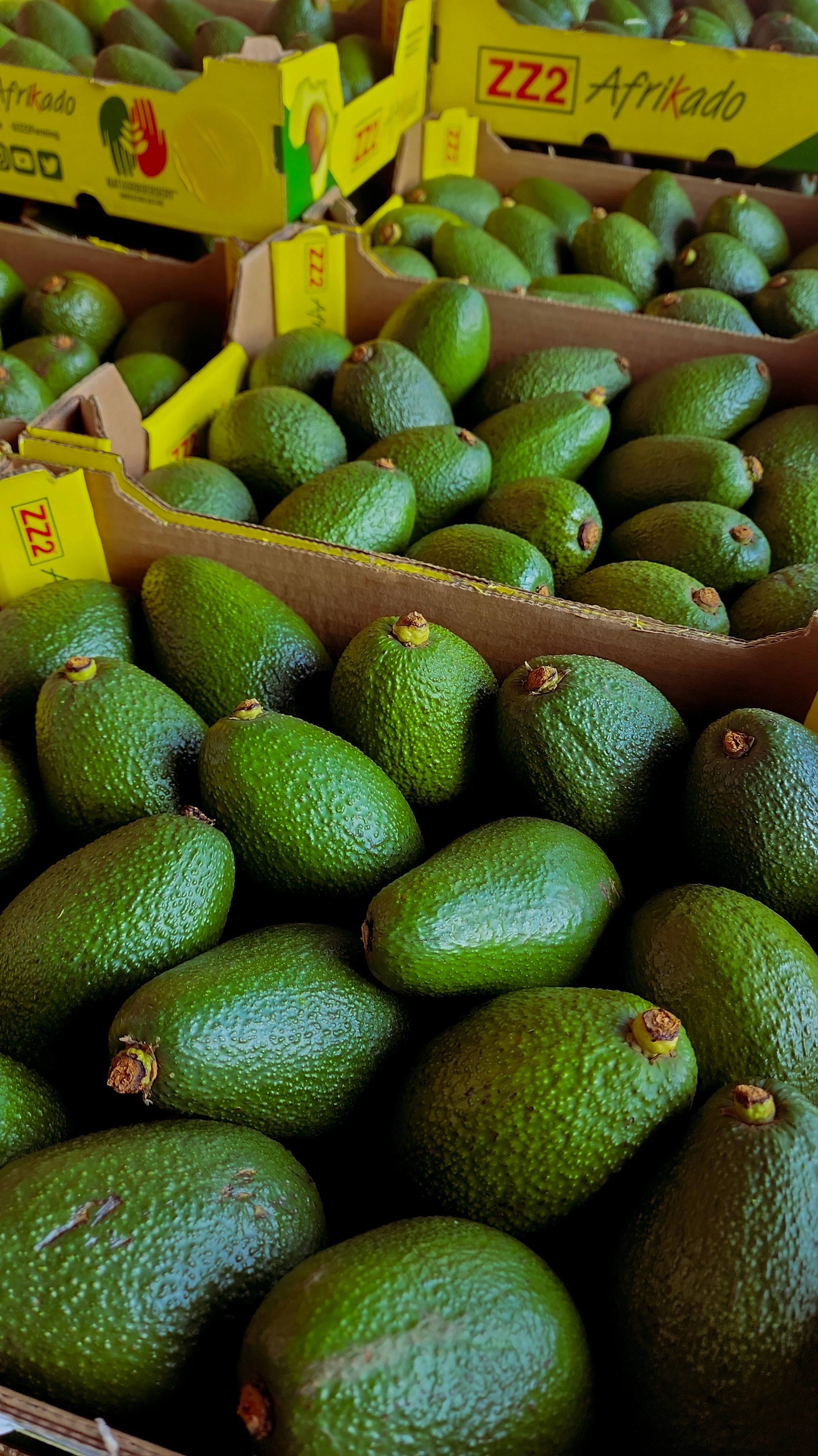 Avocado in Crates at a Market Stall · Free Stock Photo