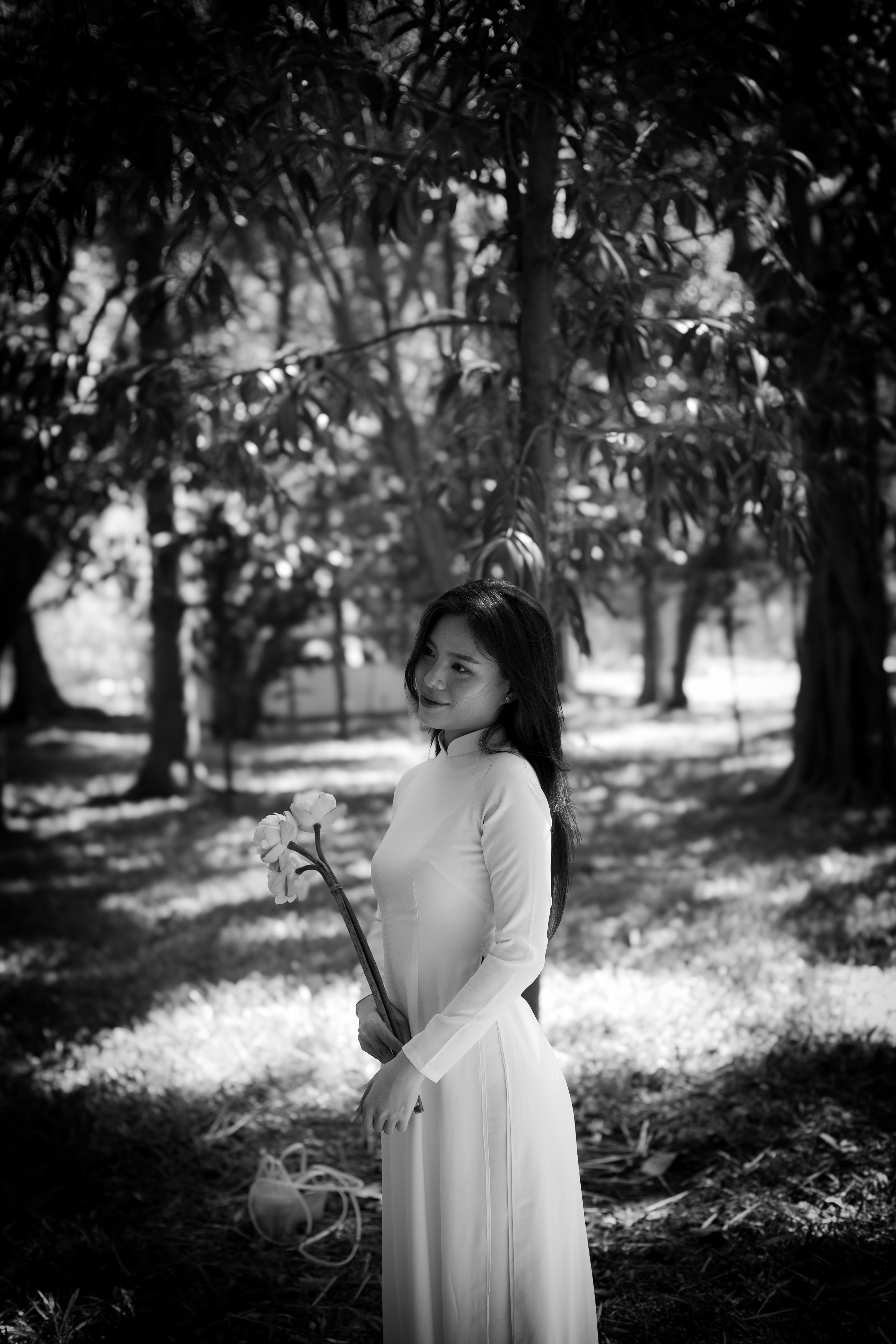 Timelessness Photos, Download The BEST Free Timelessness Stock Photos ...