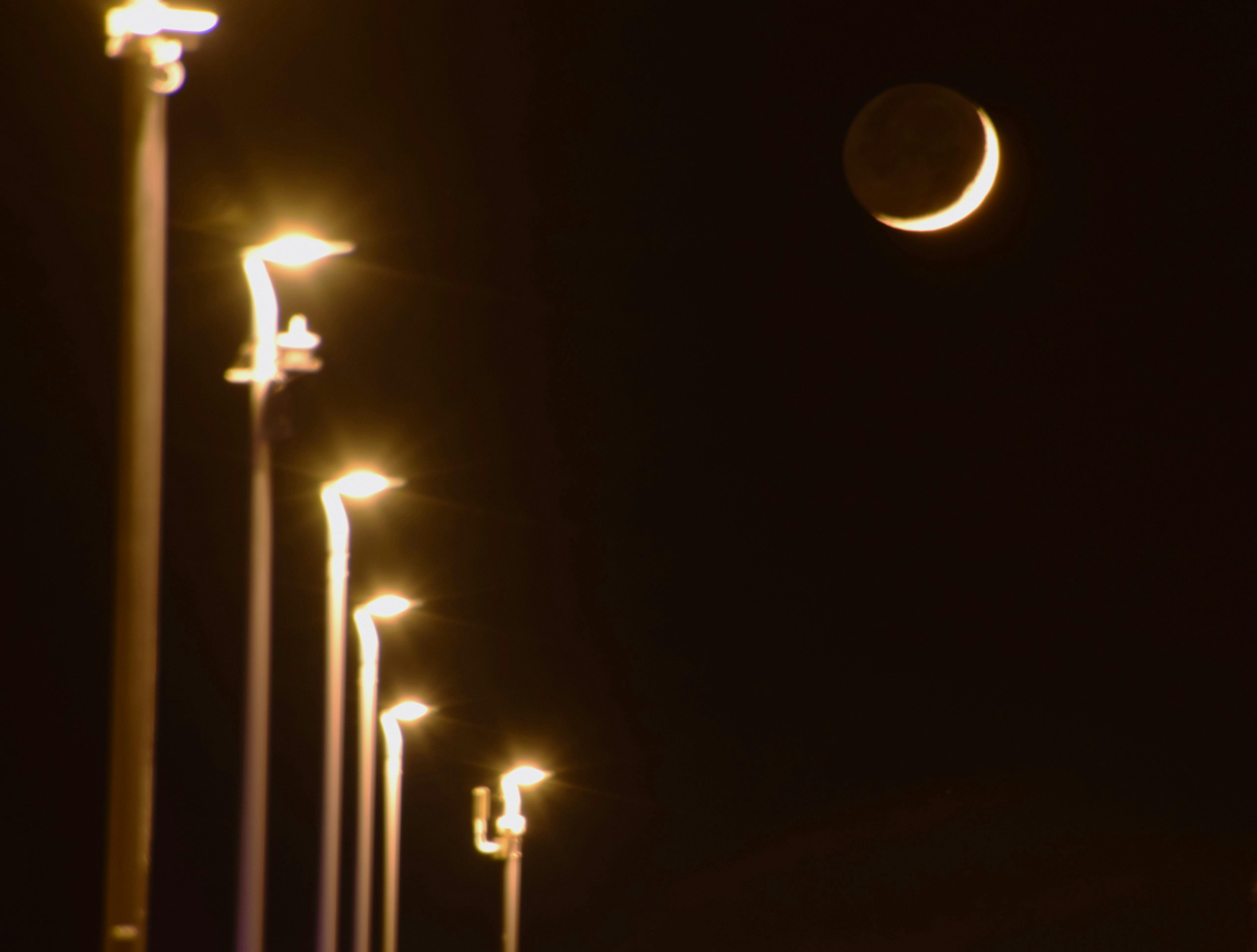 Isabelle Borg - Photographie