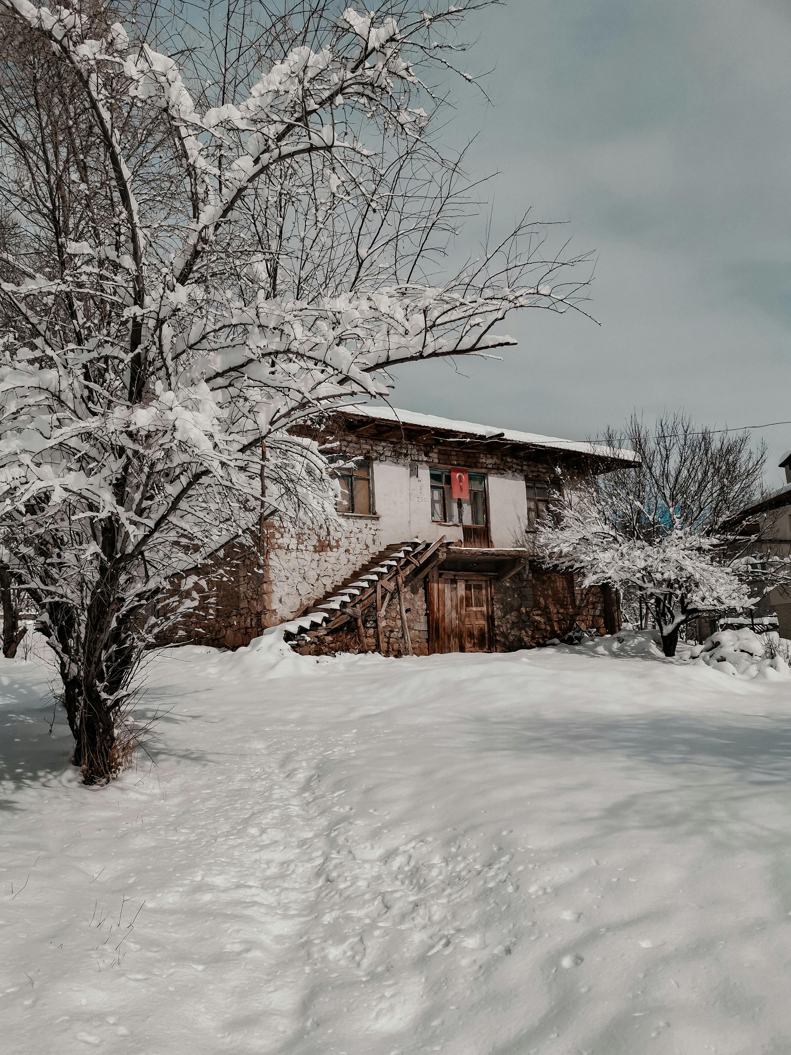 Tree and House in Snow in Village in Turkey in Winter · Free Stock Photo