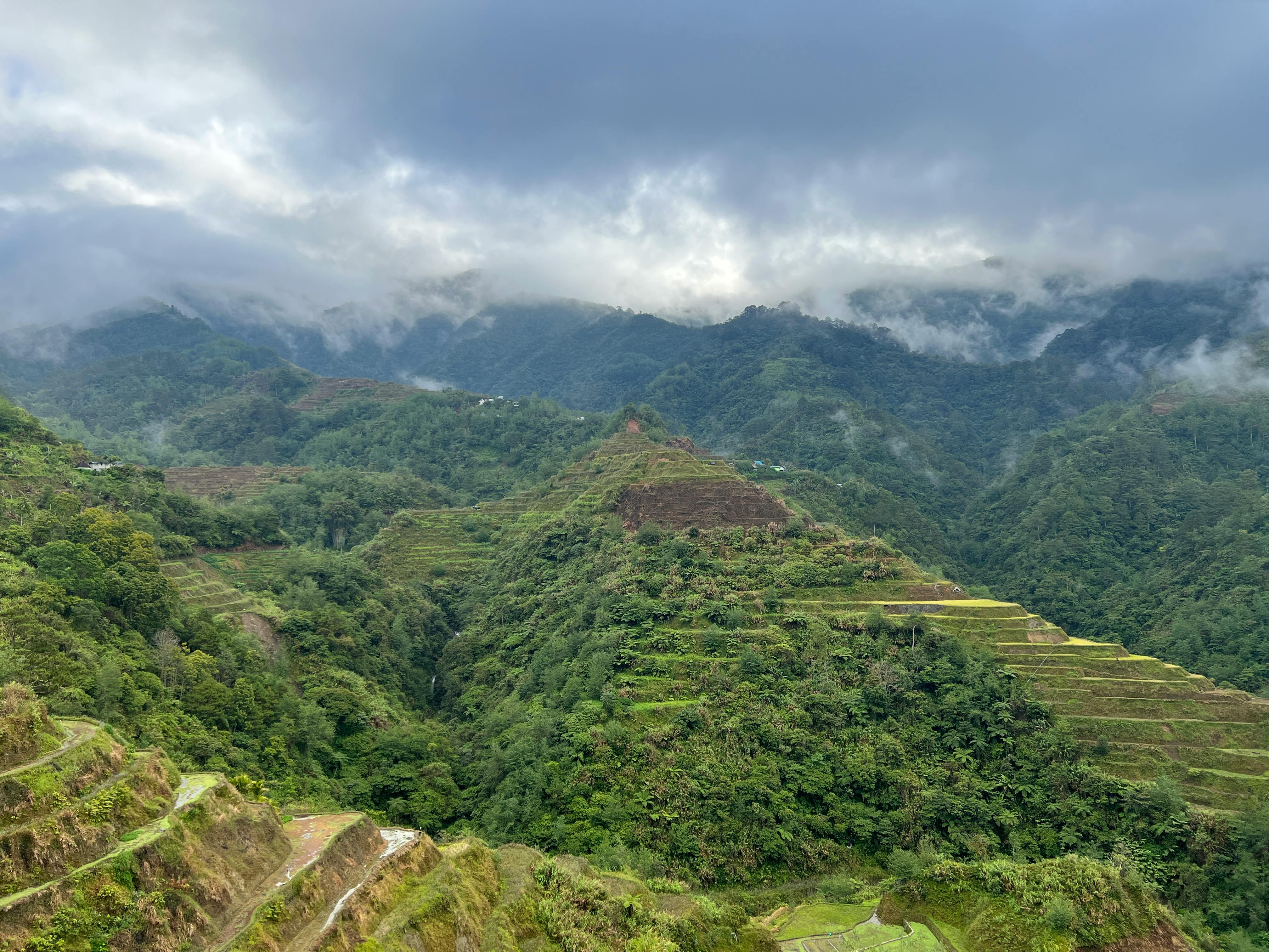 Green Hills and Forest · Free Stock Photo