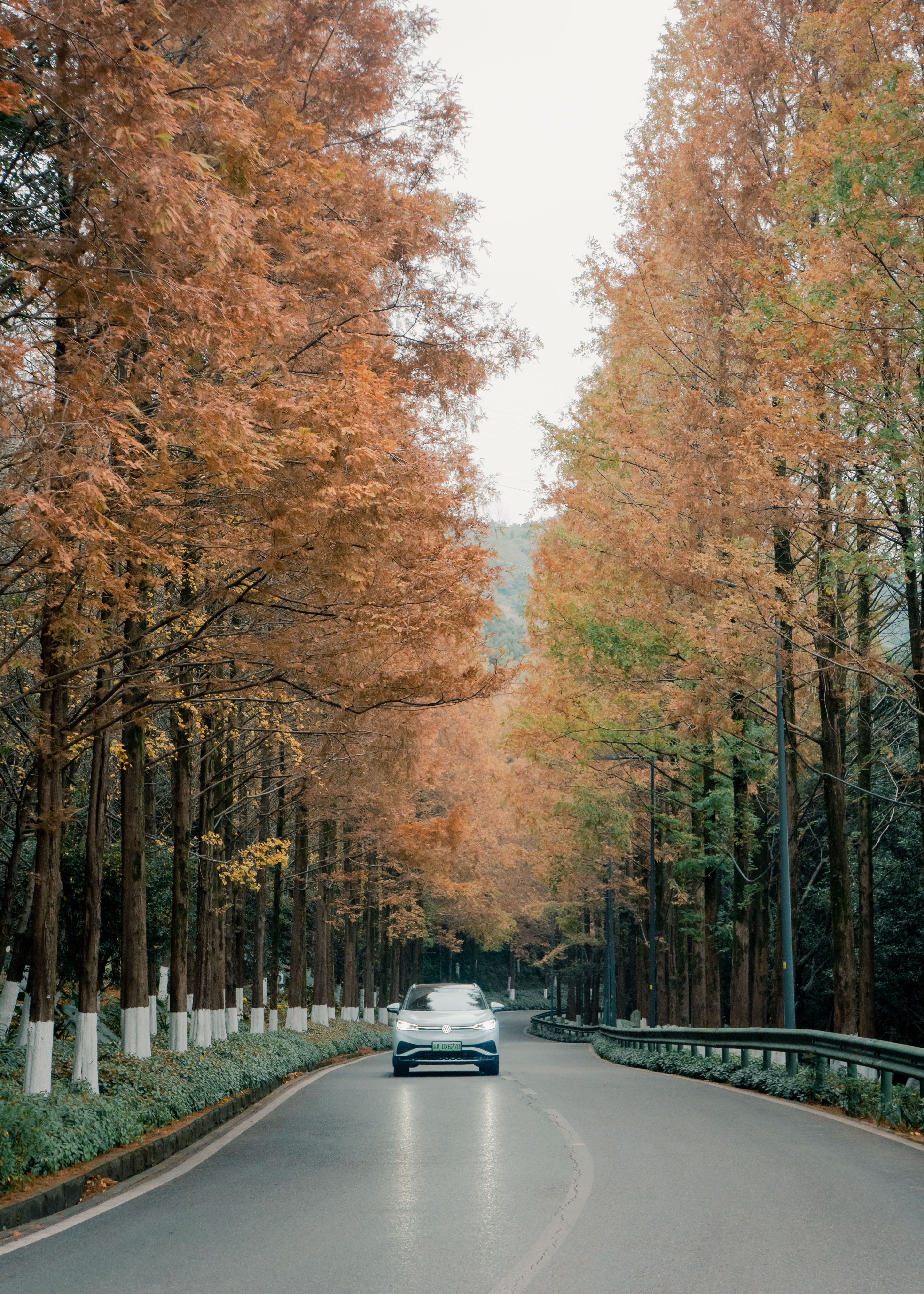 A Car Driving in Autumn · Free Stock Photo