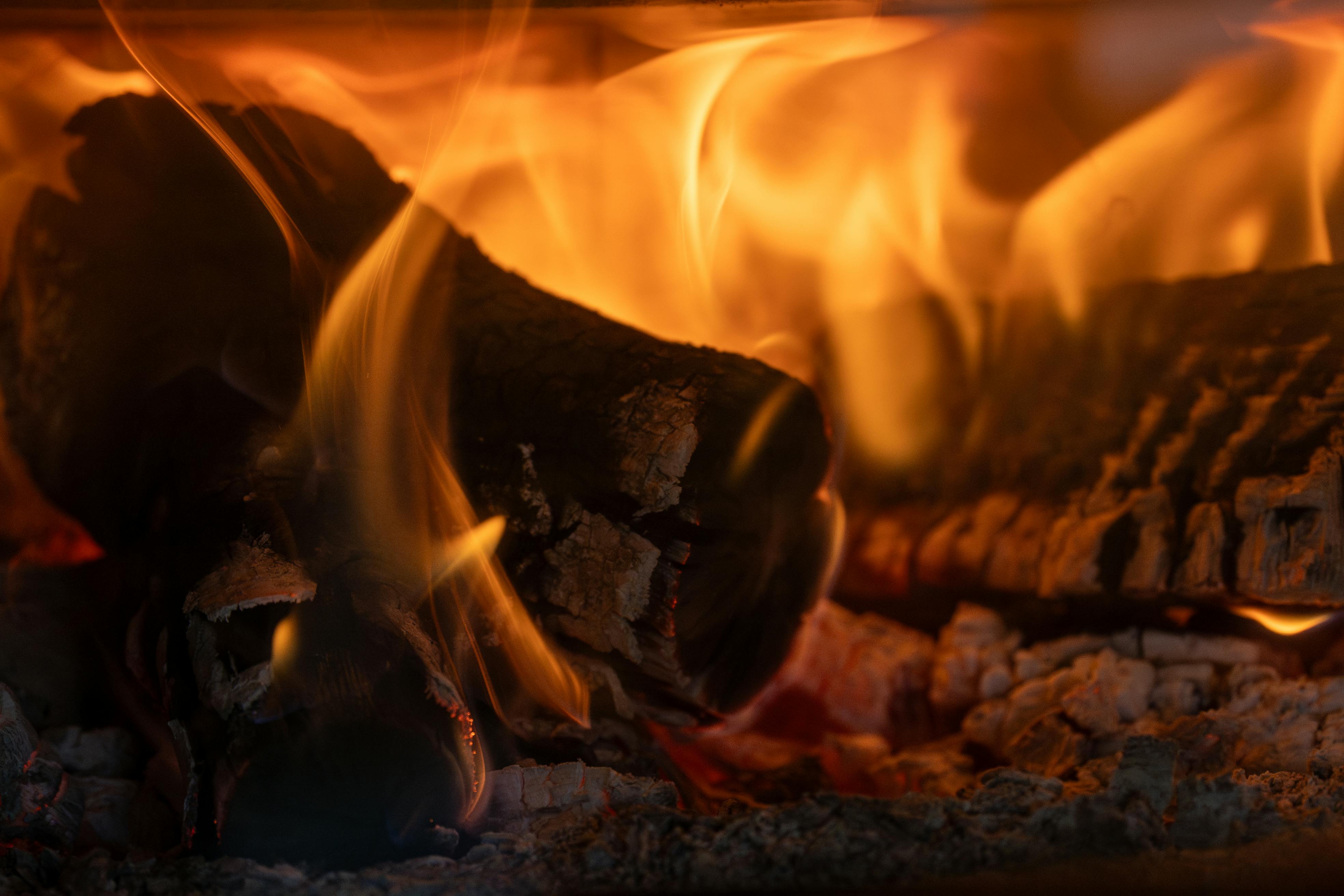 Close up of a Campfire · Free Stock Photo