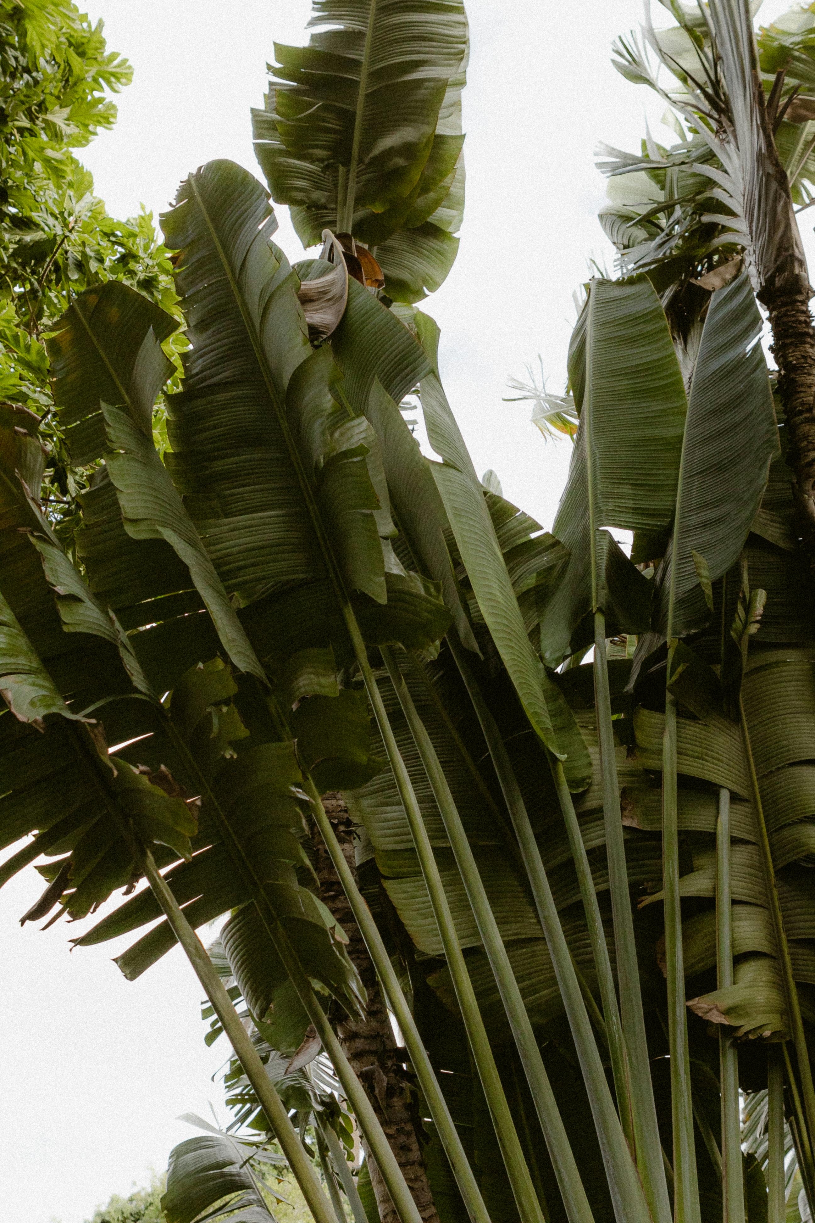 Fresh Start Photos, Download The BEST Free Fresh Start Stock Photos ...